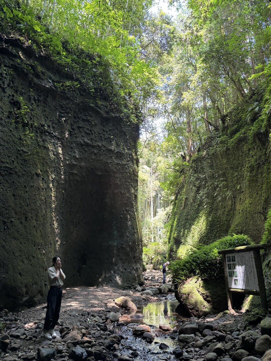 高知県の伊尾木洞 らんまんの撮影もあった... / mao🐈‍⬛さんのモーメント | YAMAP / ヤマップ