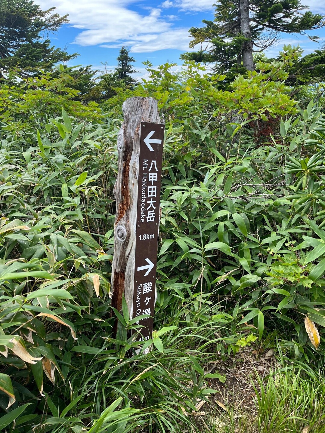 ちなさんさんの投稿したフィールドメモ | YAMAP / ヤマップ