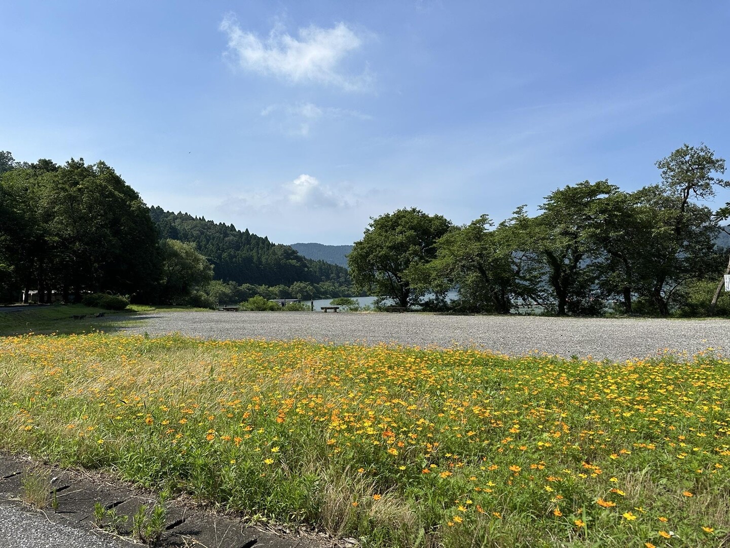 大岩山・賤ヶ岳・公法寺山・大平良山 / yumieさんの賤ヶ岳・山本山の活動データ | YAMAP / ヤマップ