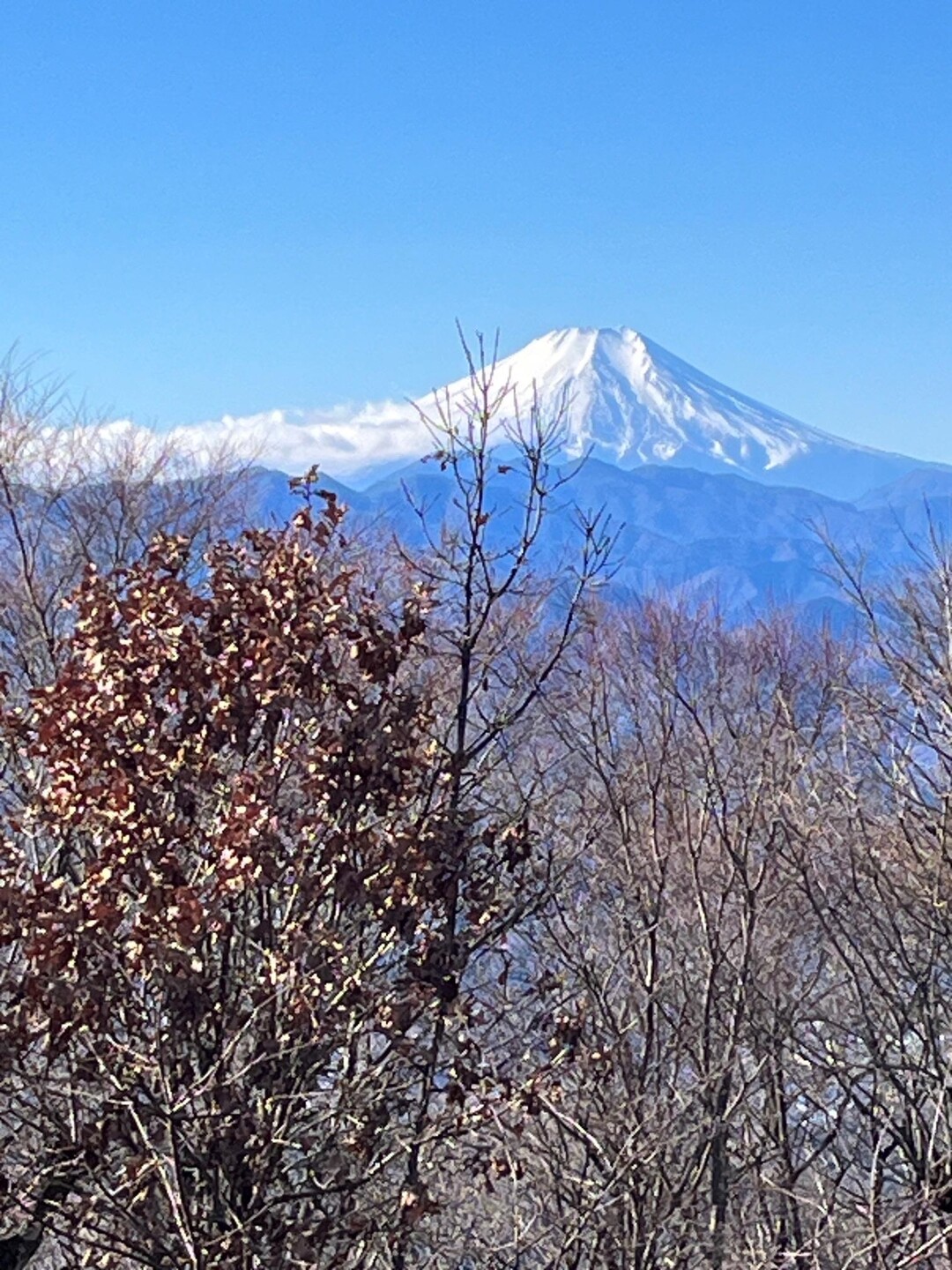 R6年登り始めは陣馬山 / はるさんの高尾山・陣馬山・景信山の活動データ | YAMAP / ヤマップ