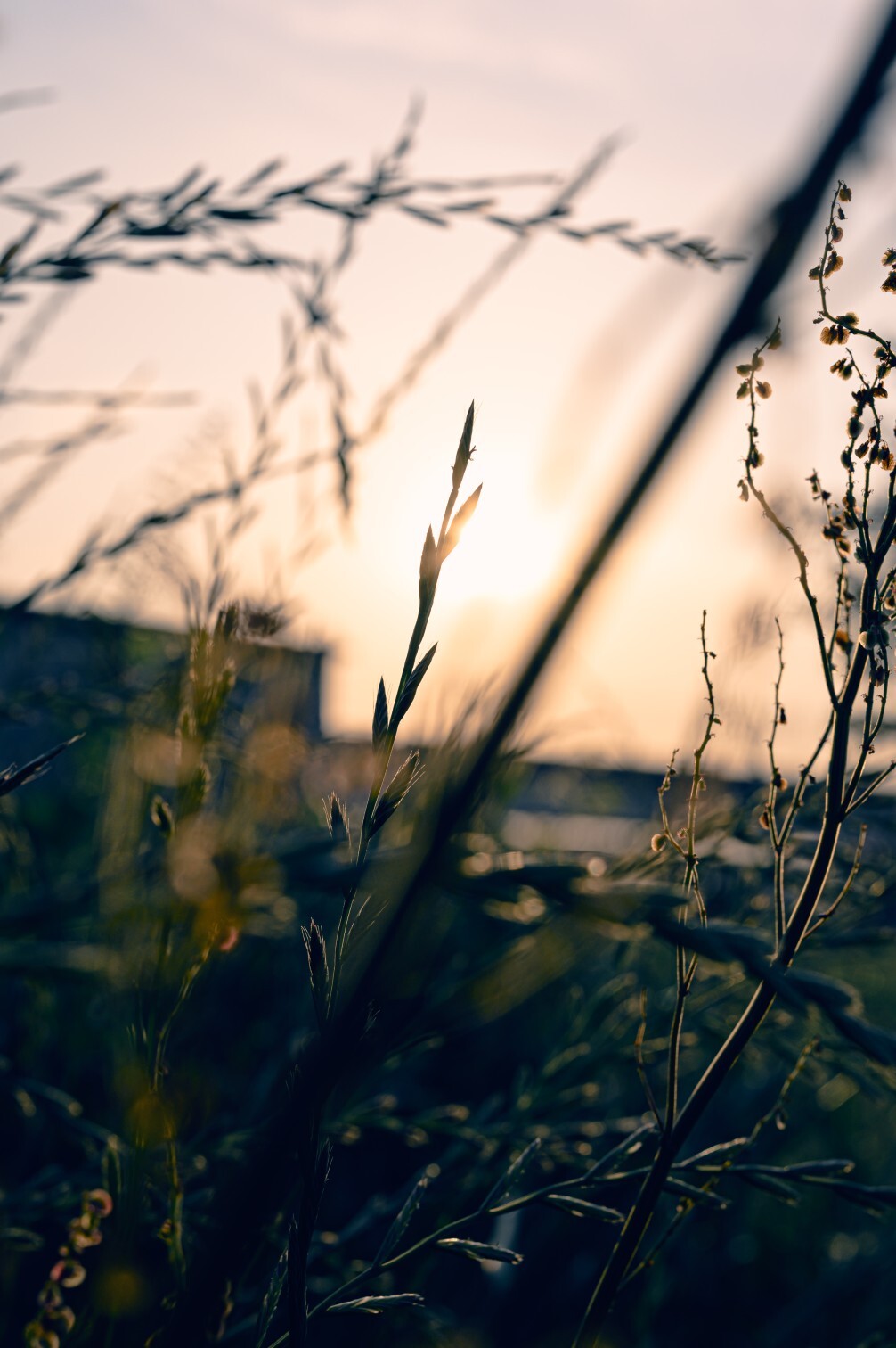 おはようございます 大丈夫 きっとうまく... / tottiy_mountainさんのモーメント | YAMAP / ヤマップ