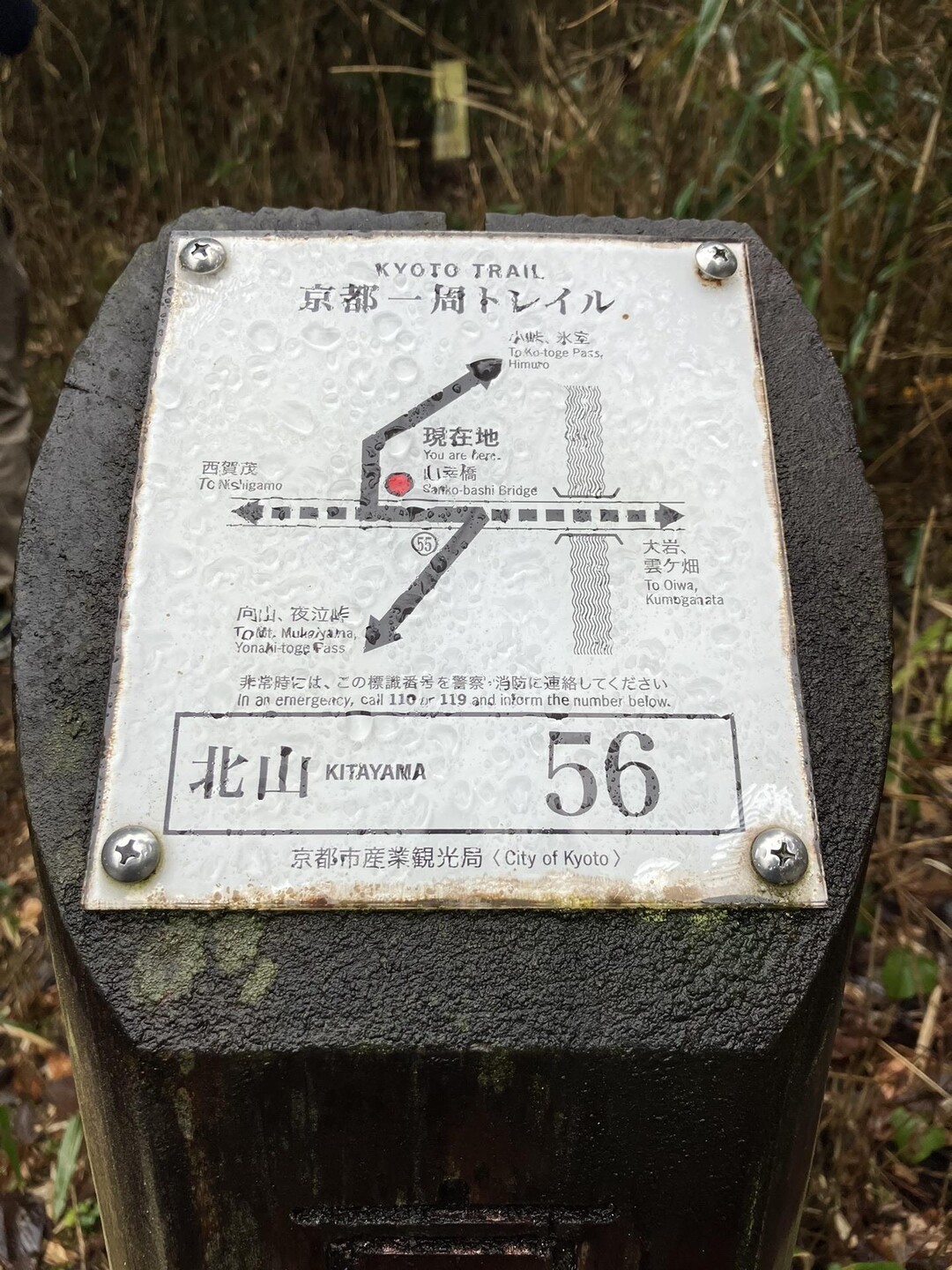 京都一周トレイル③fin 城山〜松尾山 / うめちゃんさんの京都一周トレイルの活動データ | YAMAP / ヤマップ