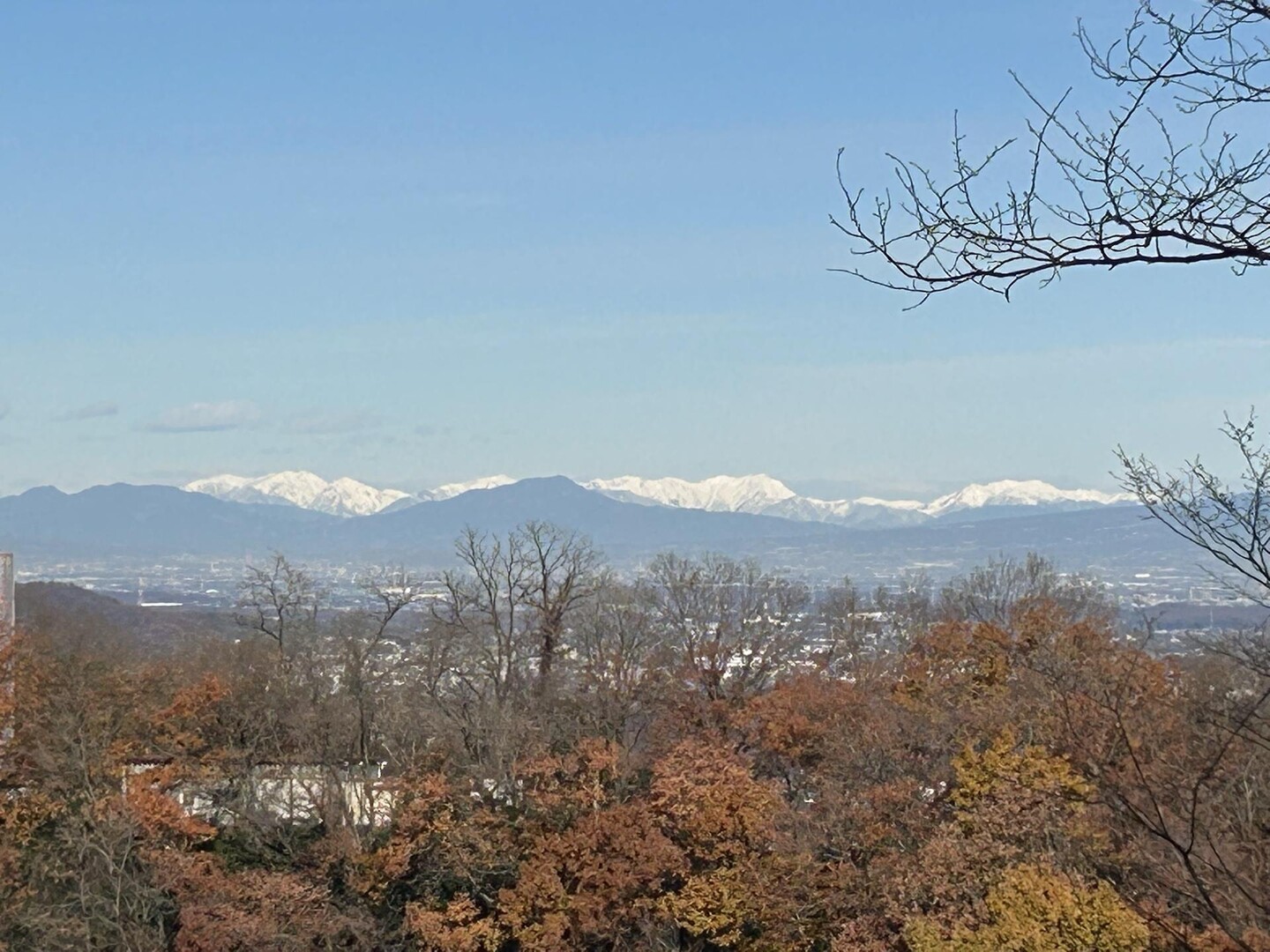 金勝山 / SunKingさんの官ノ倉山の活動データ | YAMAP / ヤマップ