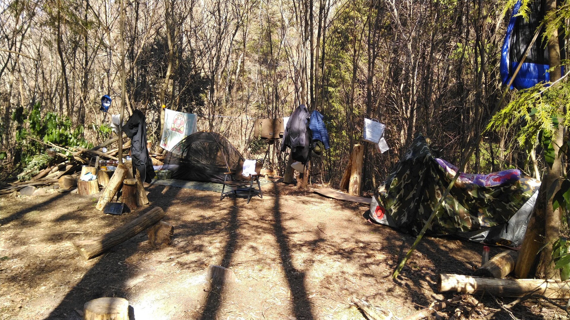 2021.02.28(日) 00:43 / アマーニョさんのモーメント | YAMAP / ヤマップ