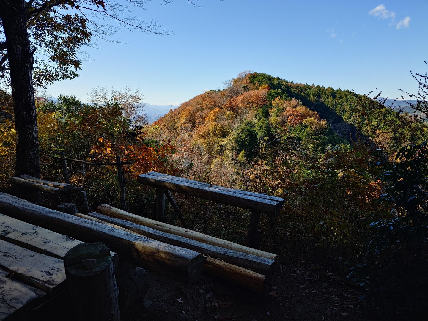 《高尾》大垂水から南高尾セブンサミッツ / nazさんの高尾山・陣馬山・景信山の活動日記 | YAMAP / ヤマップ