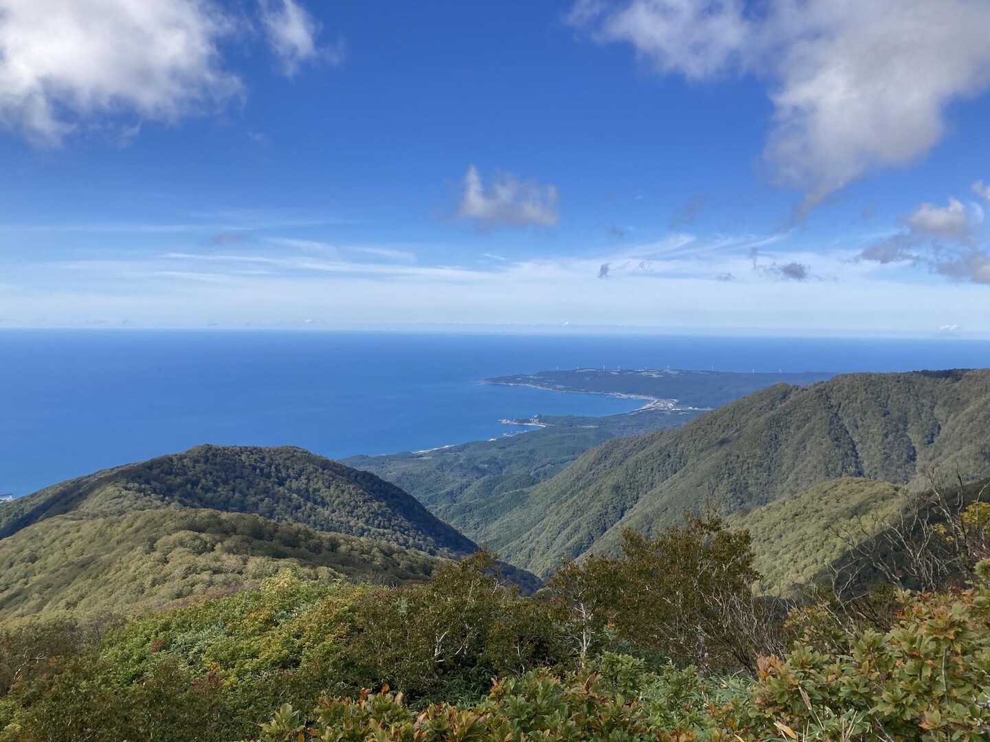 蟶山・白神岳 / luckyさんの白神岳・蟶山・大峰岳の活動データ | YAMAP / ヤマップ