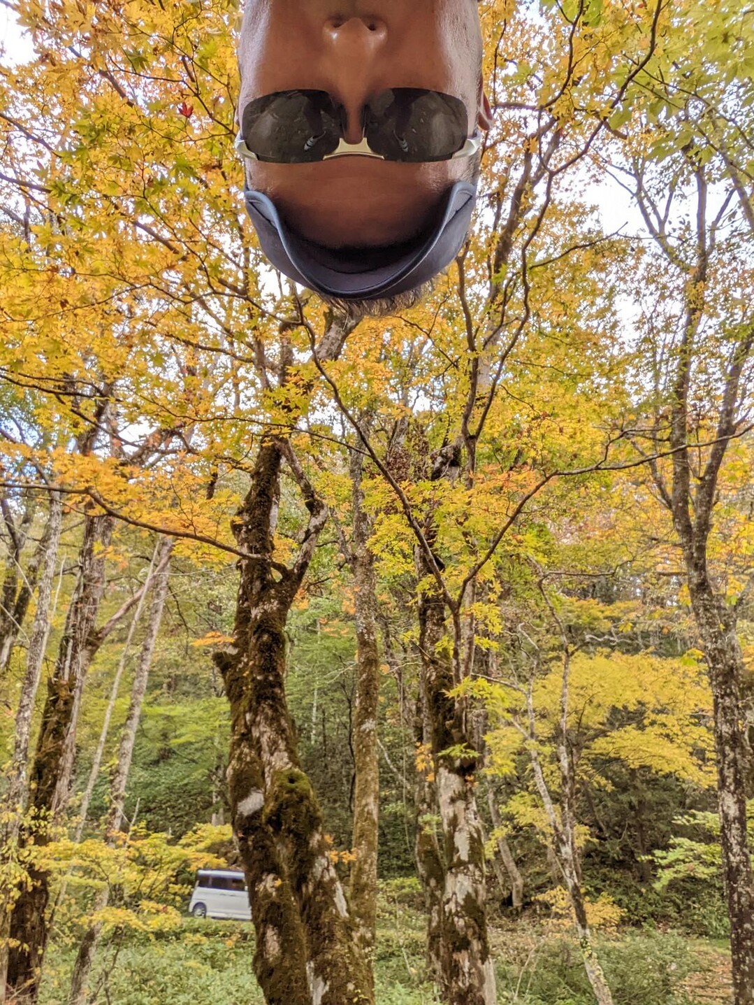 西ウレ峠 1030メートル付近。良い季節です 貸し切りで歩ける遊歩道 / Mountain hiroさんのウォーキングの活動データ | YAMAP / ヤマップ