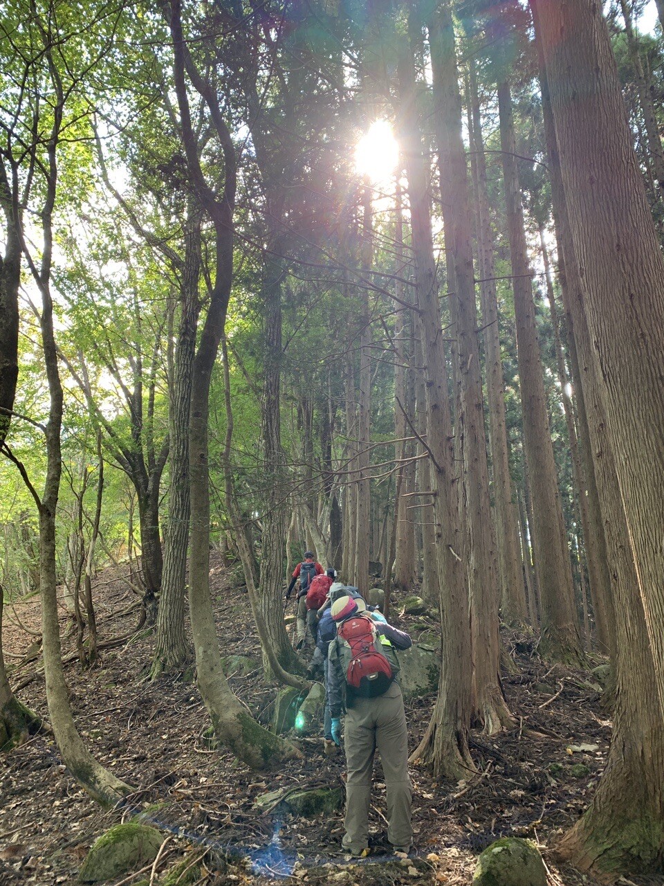 宝引山(ホウビキサン)803.6m / ケロコさんの妙見山の活動データ | YAMAP / ヤマップ