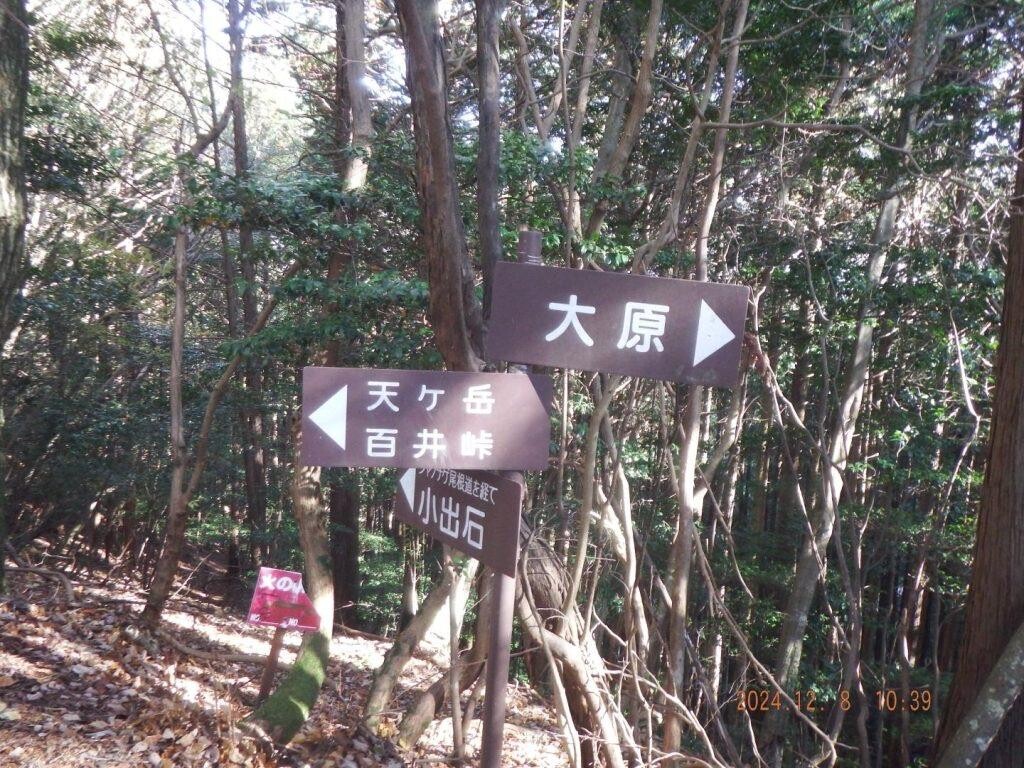 鞍馬・竜王岳 https://kyoto... / 京都趣味登山会さんのモーメント | YAMAP / ヤマップ