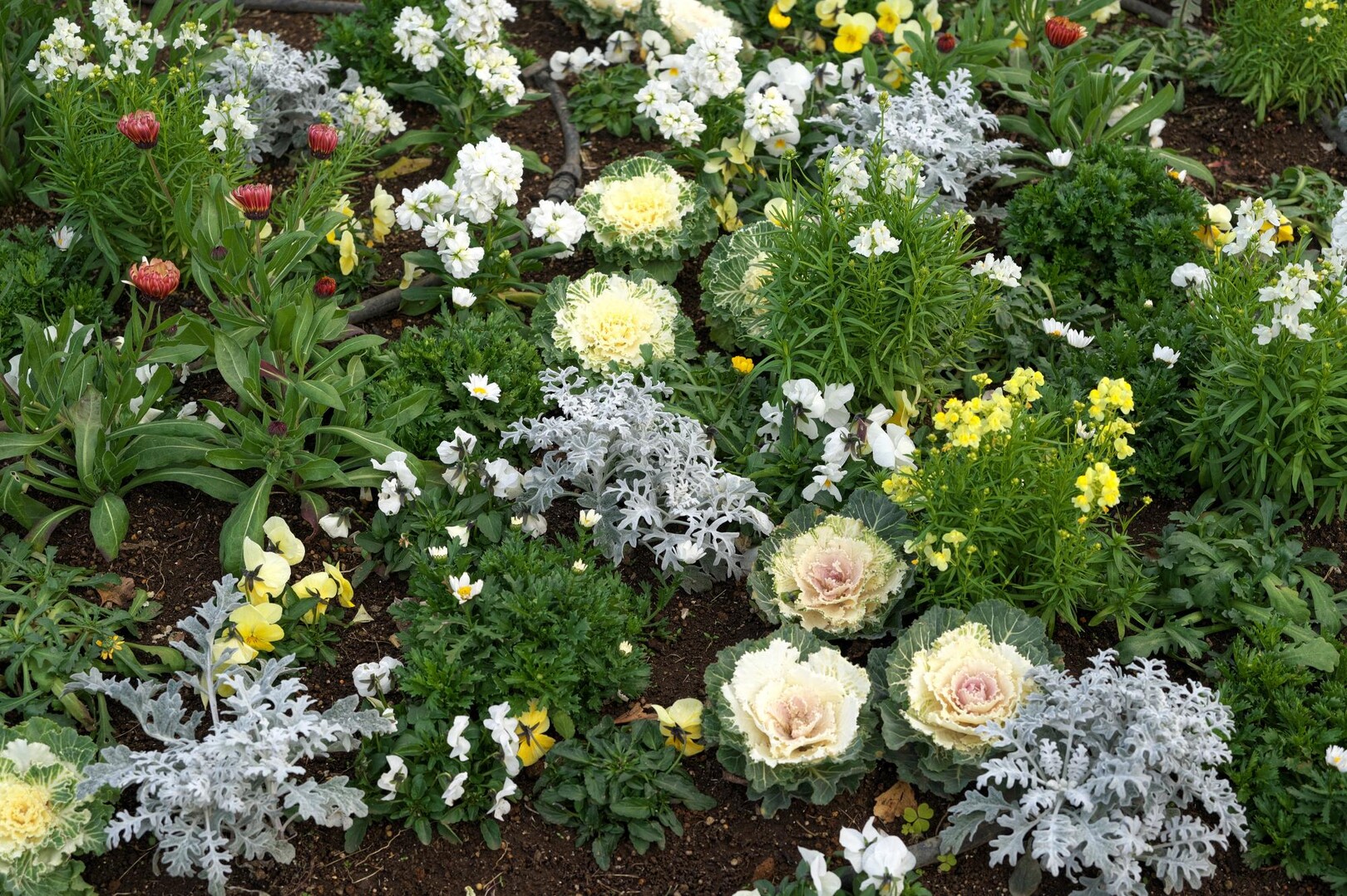 昨日の横浜 久々に元町・中華街で食事の... / J-Blueさんのモーメント | YAMAP / ヤマップ