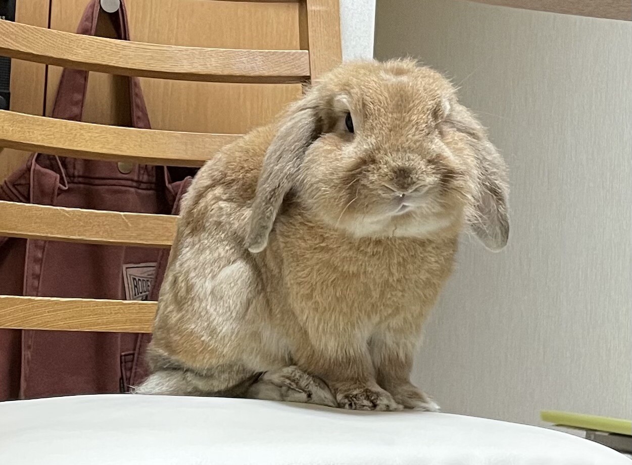 reokunのページ | YAMAP / ヤマップ