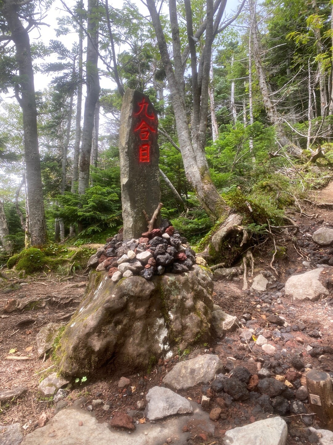 yuu39さんの投稿したフィールドメモ | YAMAP / ヤマップ