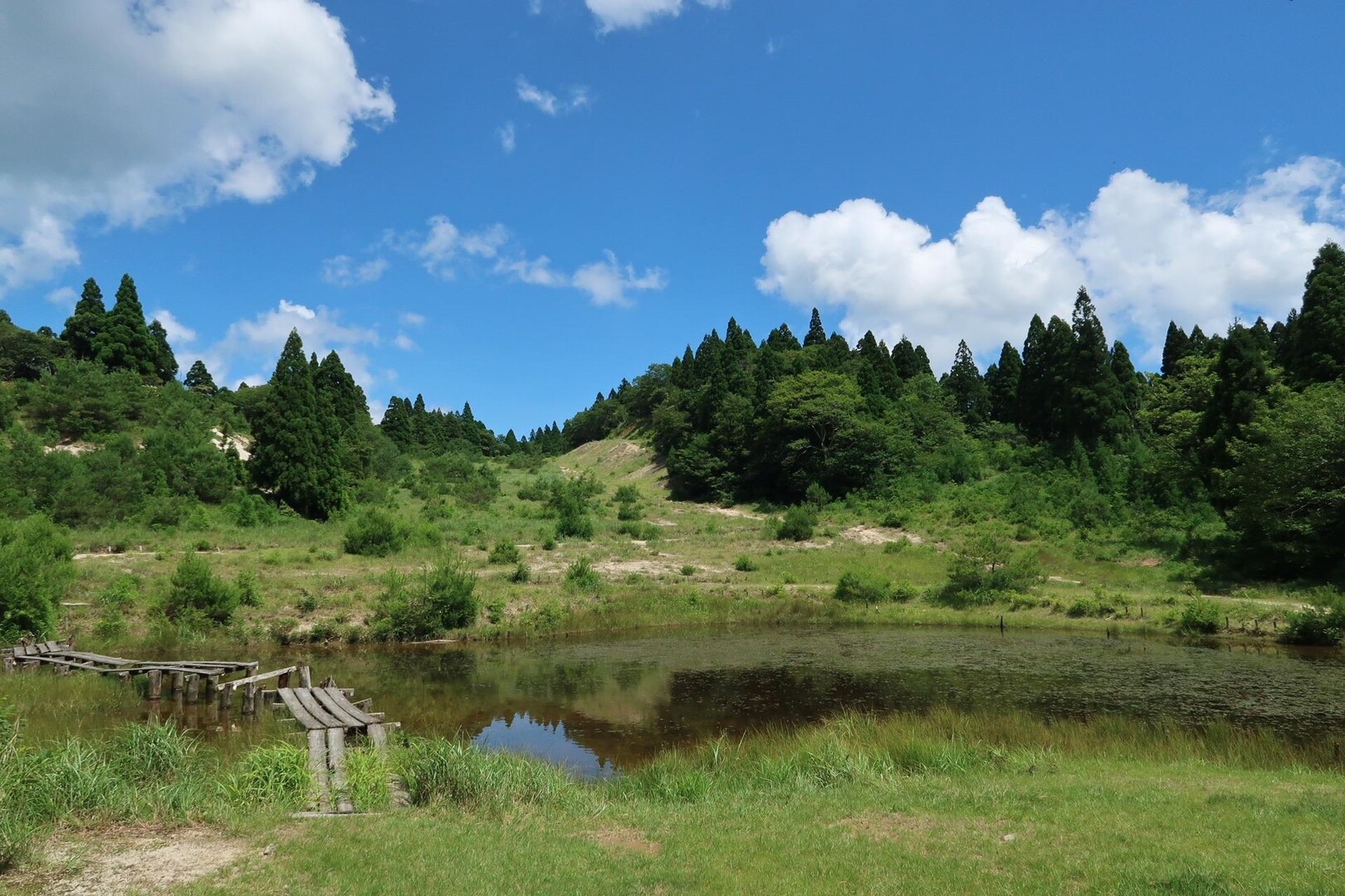 念願の武奈ヶ岳および八雲ヶ原 / naka_nakaさんの比良山地・武奈ヶ岳・釈迦岳の活動データ | YAMAP / ヤマップ
