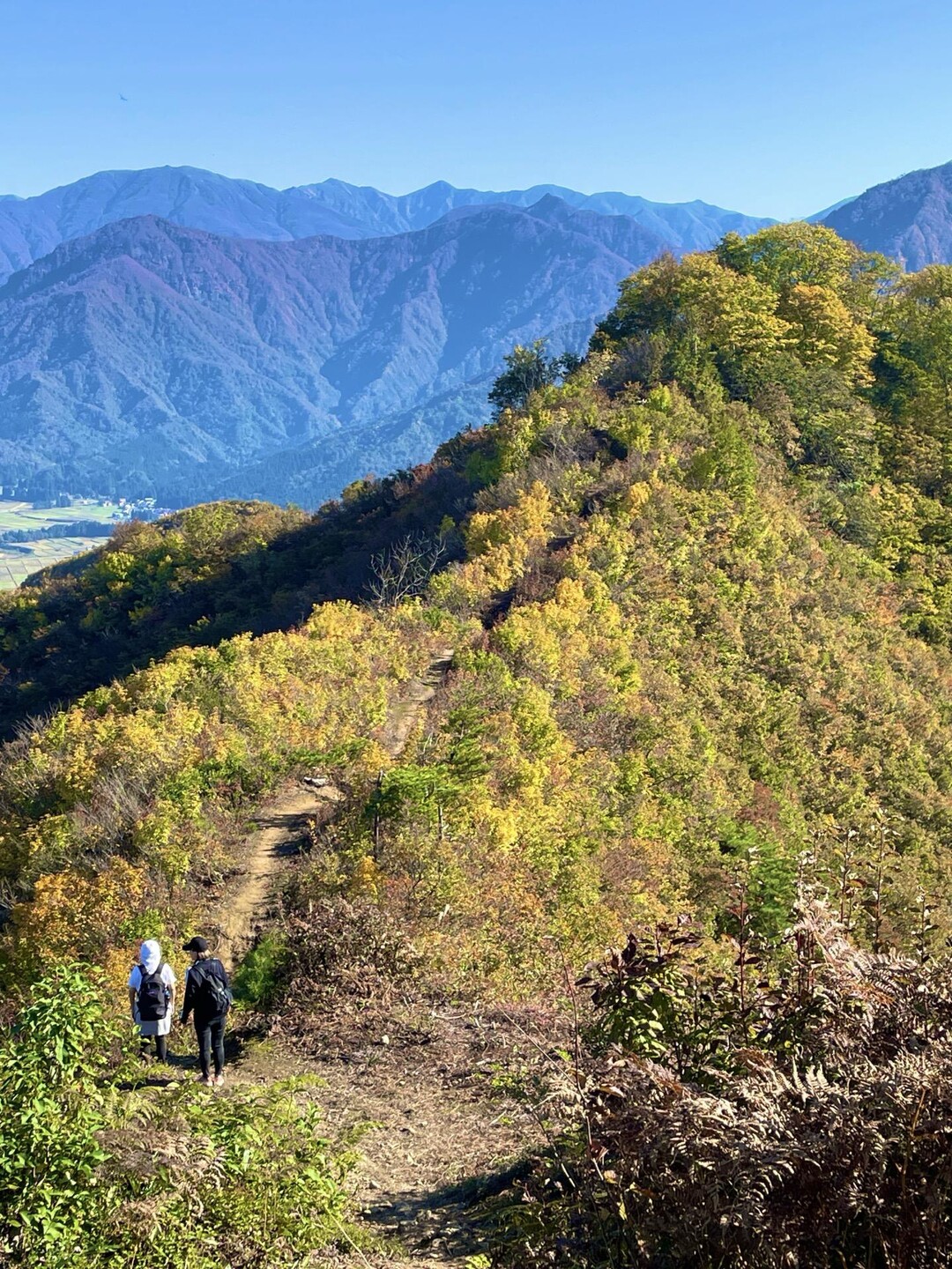 おかわり登山は坂戸山 / mmmさんの巻機山・割引岳・金城山の活動データ | YAMAP / ヤマップ