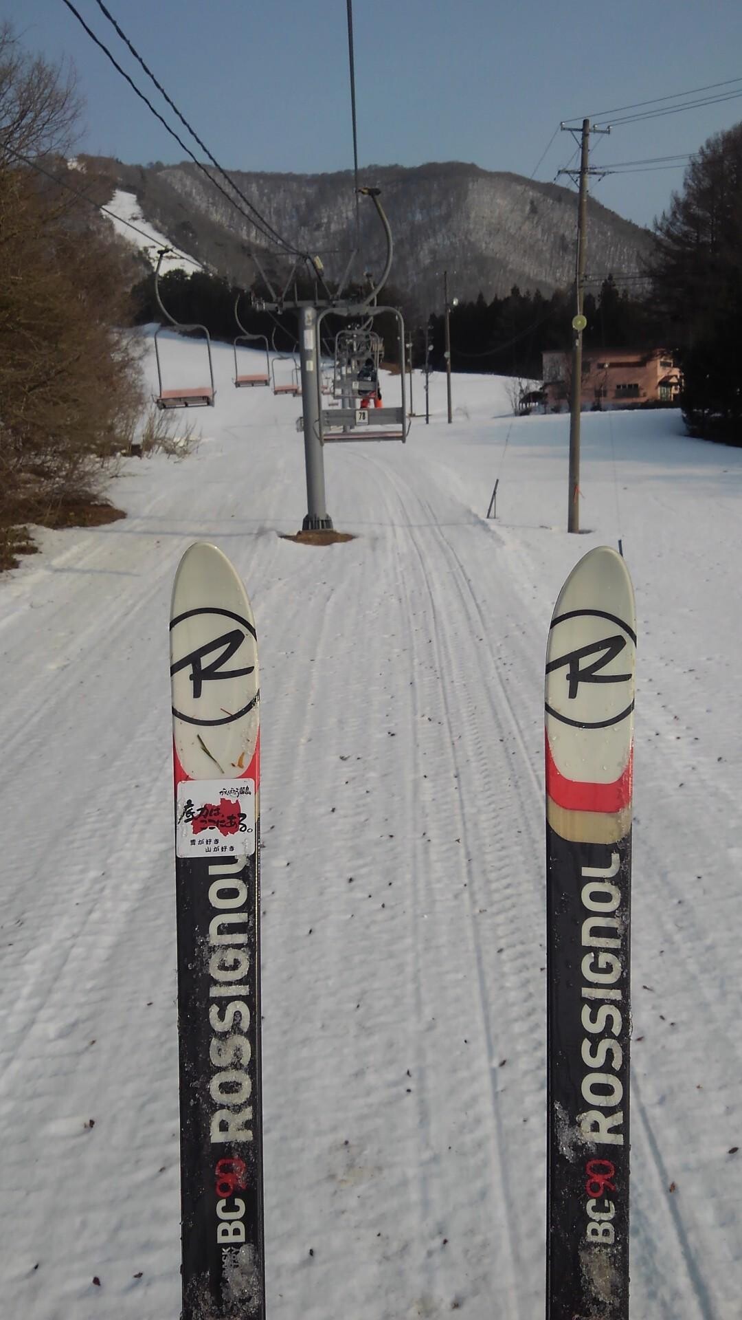 今季の板納めも終わって､ 早くも近所の桜... / gk-cnさんのモーメント | YAMAP / ヤマップ