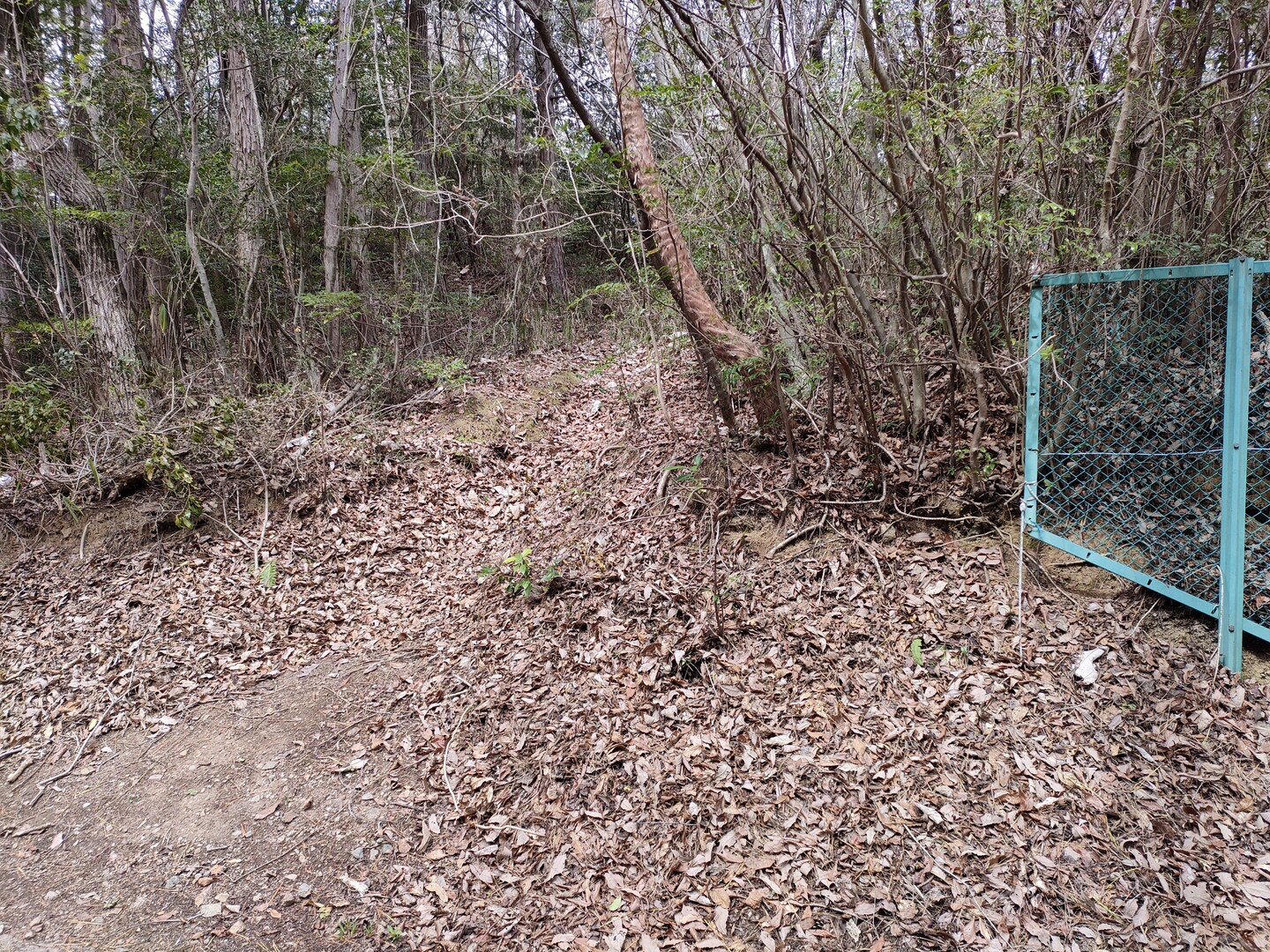 you1 さんの投稿したフィールドメモ | YAMAP / ヤマップ