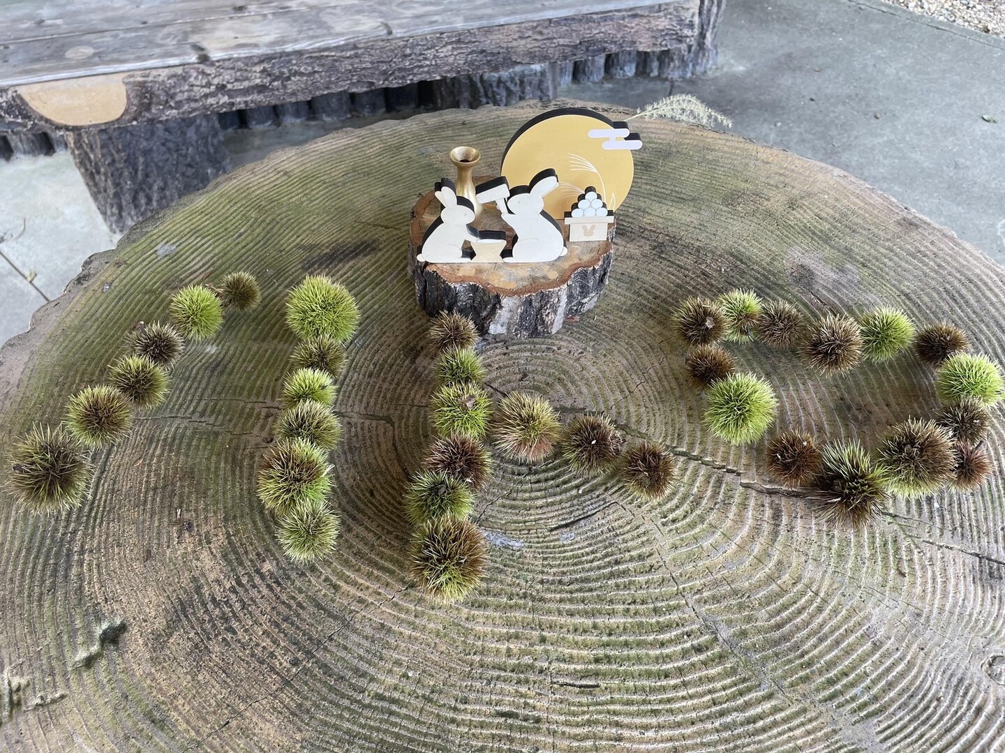 鳩吹山・両見山(西山) / kumiさんの鳩吹山の活動データ | YAMAP / ヤマップ