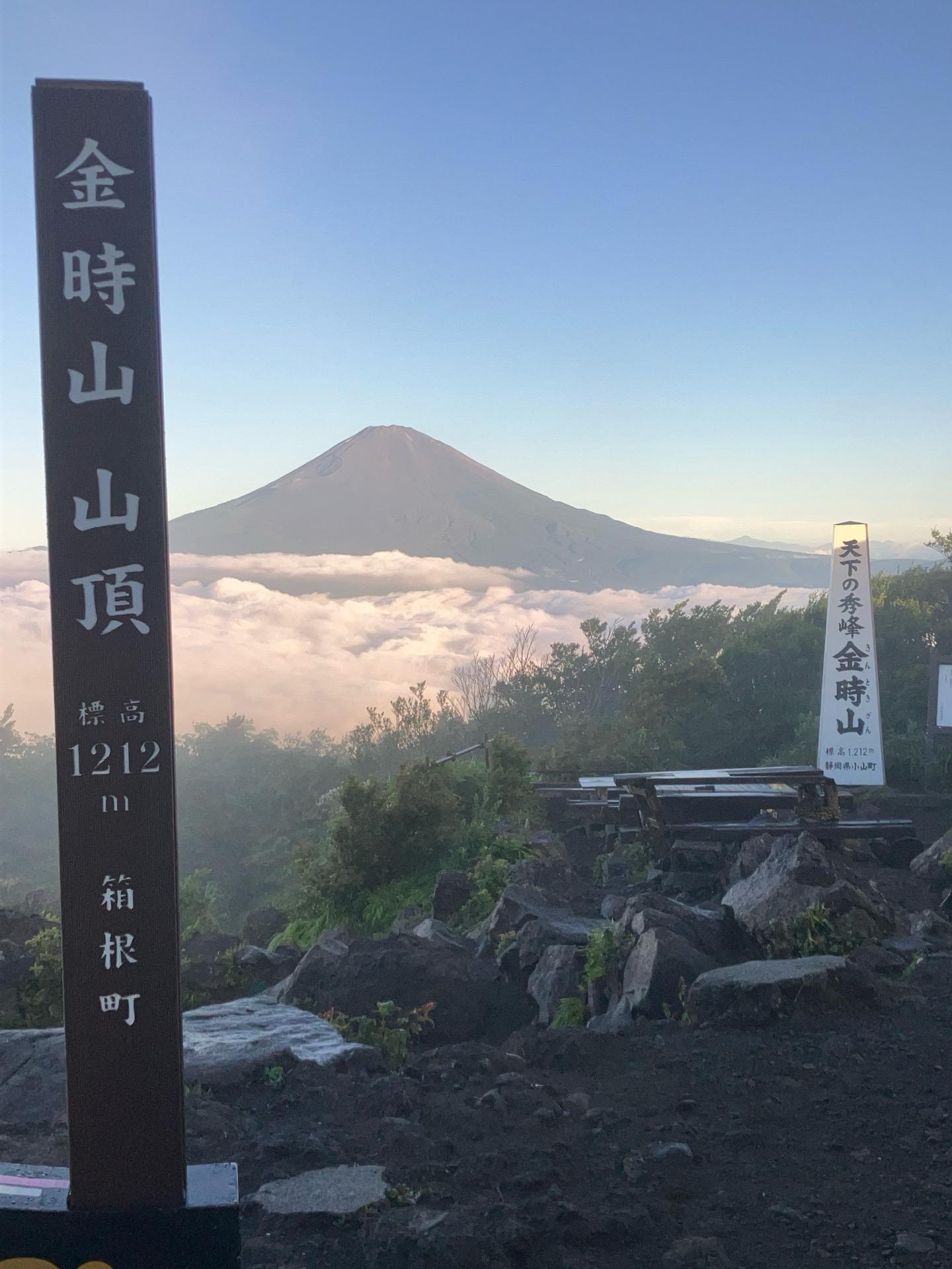 金時山・長尾山 / サブケンさんの金時山・明神ヶ岳の活動日記 | YAMAP / ヤマップ