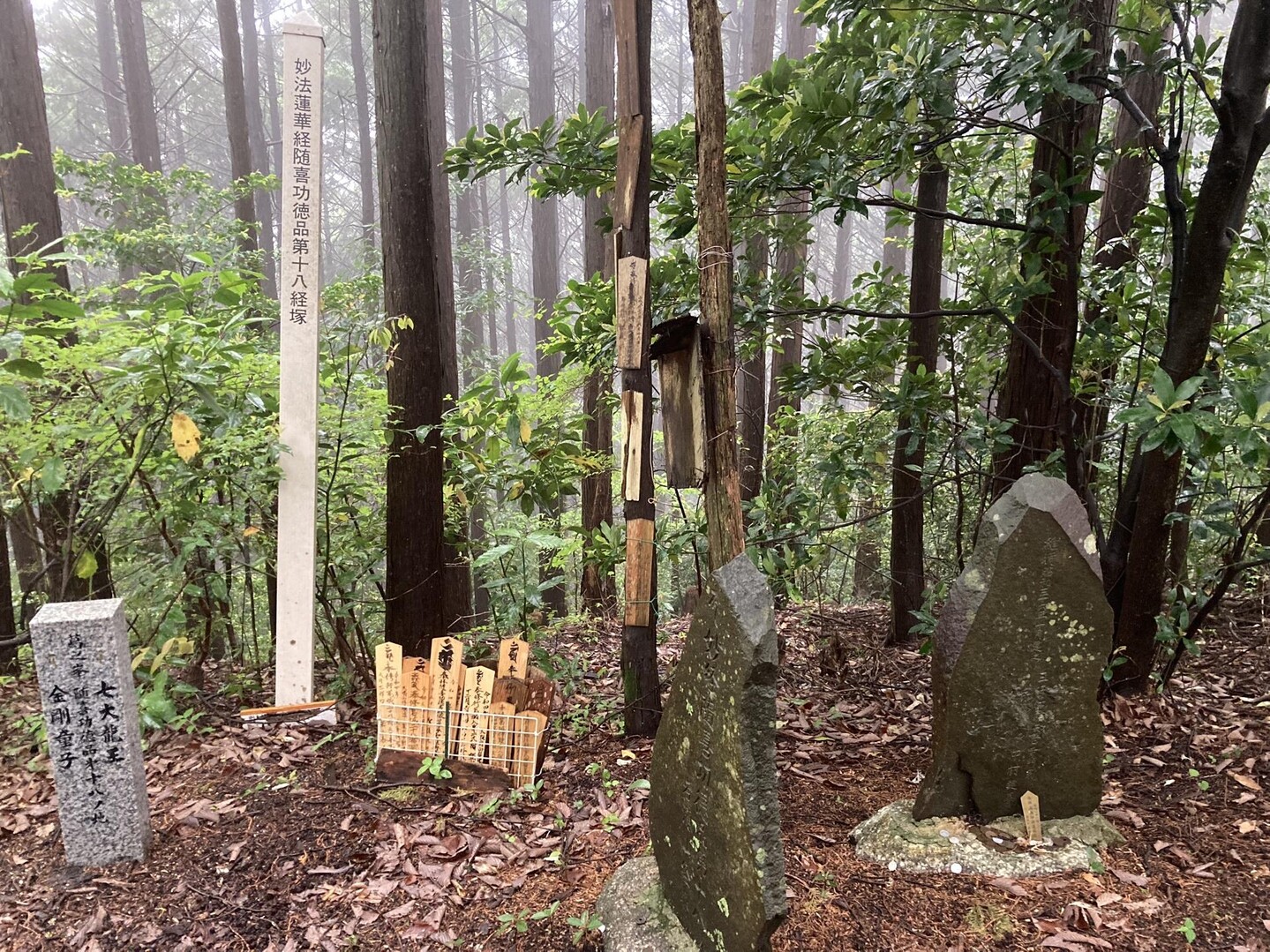 第十八経塚「岩瀬経塚山 随喜功徳品」 / maecciさんの金剛山・二上山・大和葛城山の活動データ | YAMAP / ヤマップ