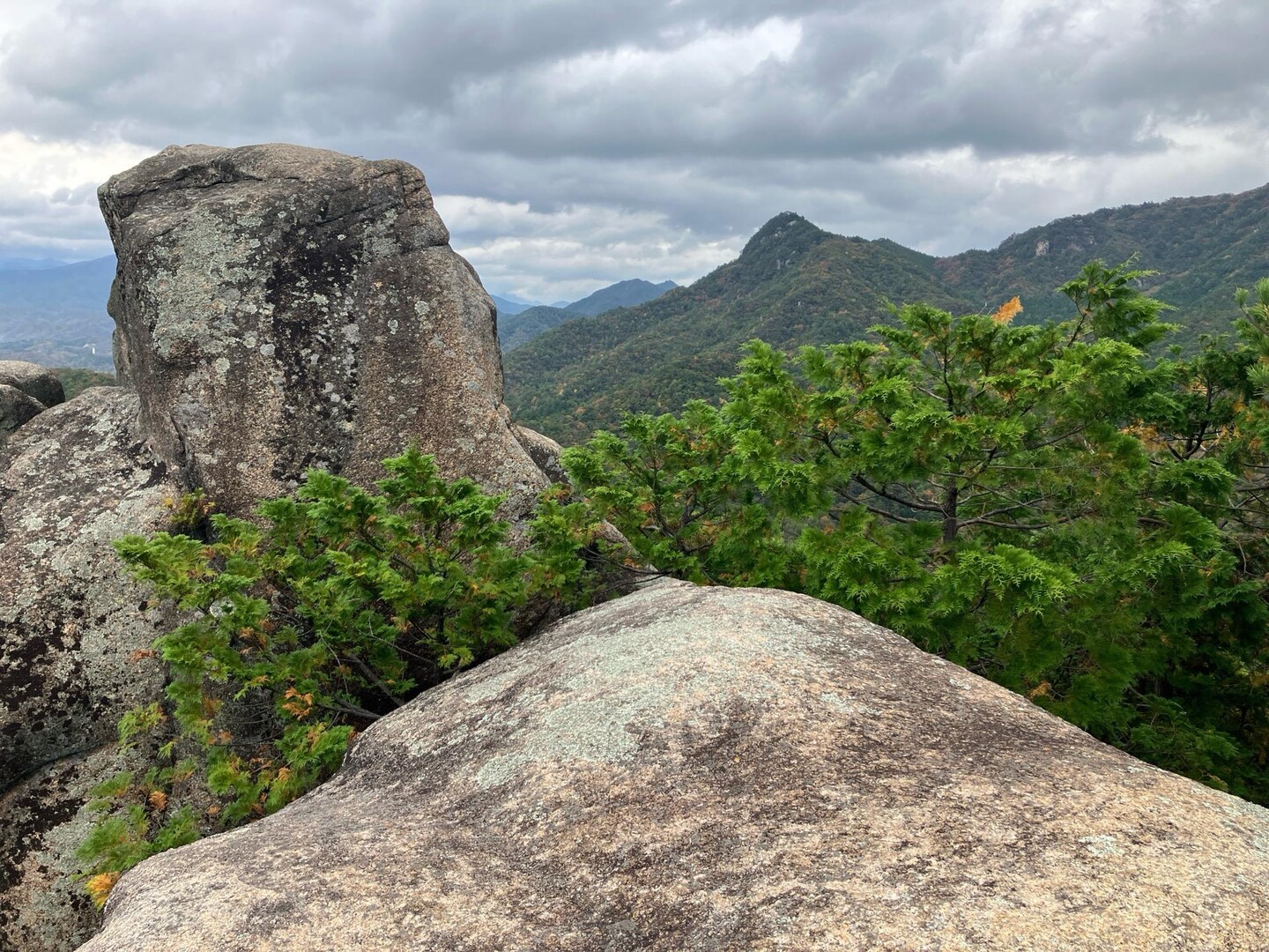 雨が降りそうで降らない冠岳 / totoさんの三倉岳・瓦小屋山の活動データ | YAMAP / ヤマップ