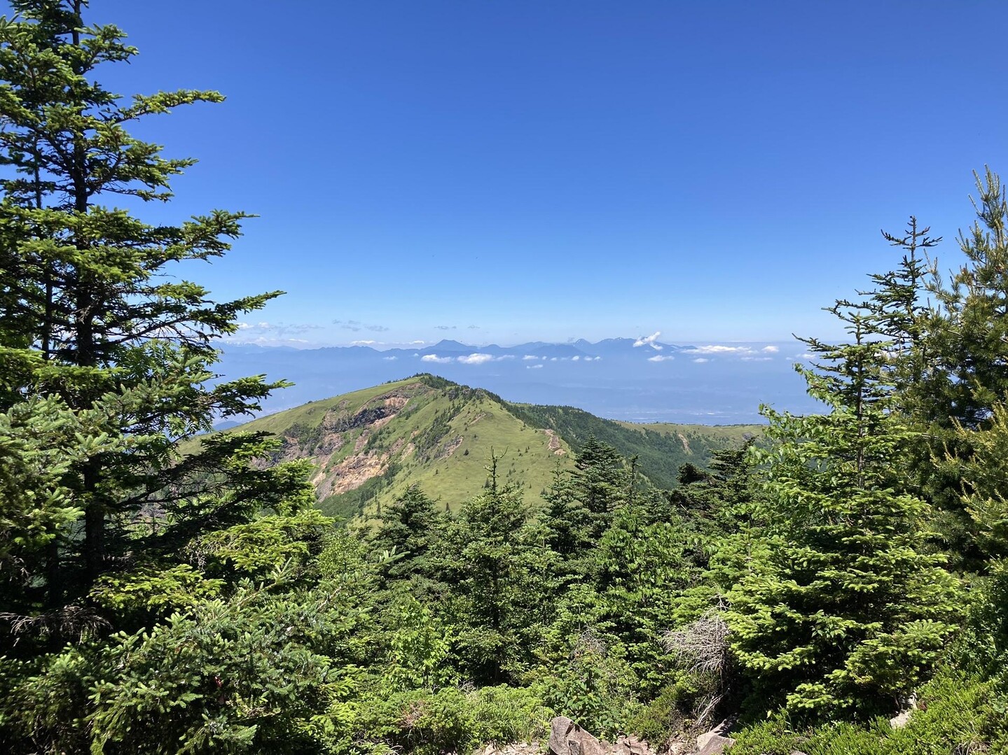 四阿山・根子岳 宝さがし / John Doeさんの四阿山・根子岳の活動データ | YAMAP / ヤマップ