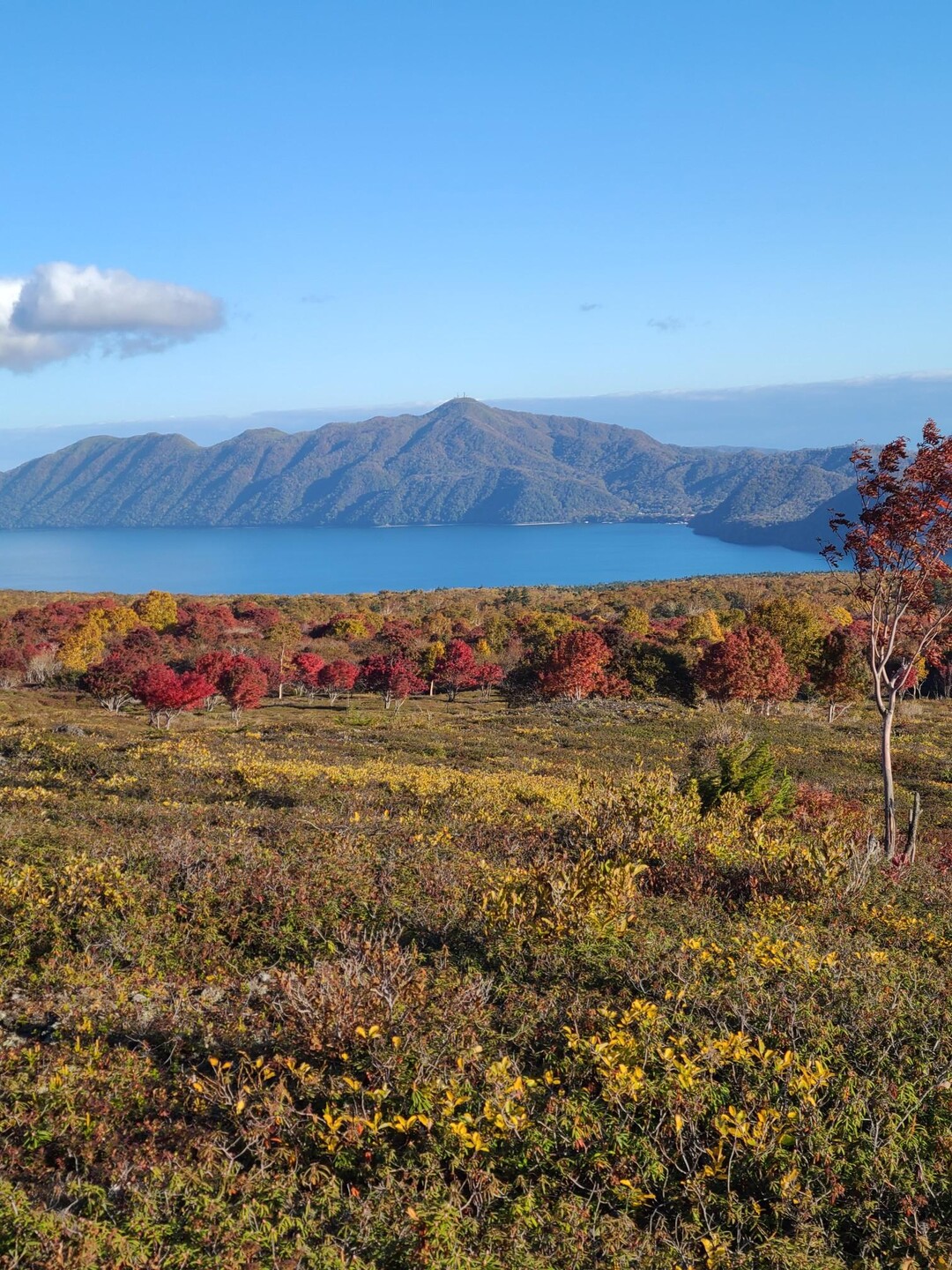 樽前山（東山）・北山(932峰) / Mr.Masaさんの樽前山・風不死岳の活動データ | YAMAP / ヤマップ