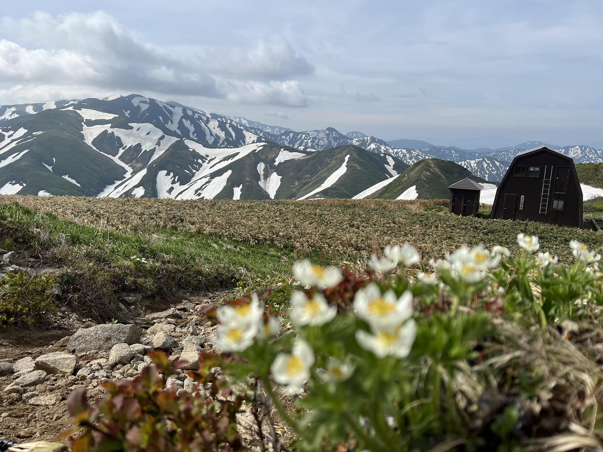 カモス峰・権内ノ峰・千本峰・前えぶり差岳・朳差岳（えぶり差岳）・鉾立峰 / Kamo.takaさんの朳差岳・鉾立峰・大石山の活動データ | YAMAP / ヤマップ