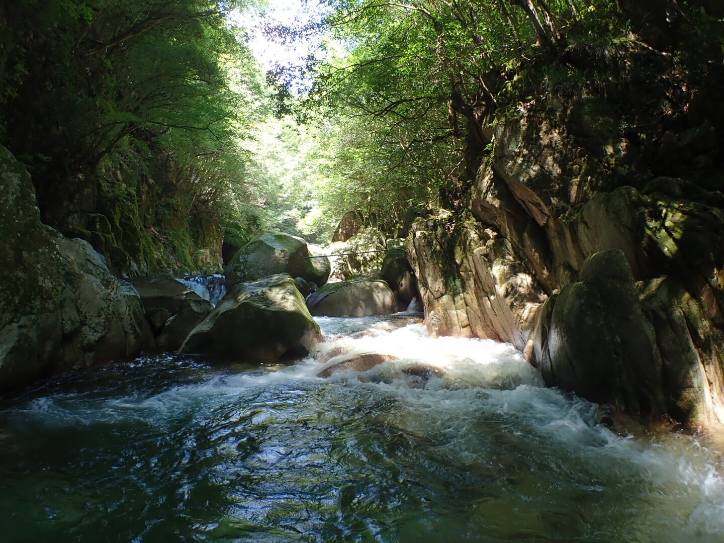 深谷川で沢登り 今年の沢納めとなりました... / ゲンゴローさんのモーメント | YAMAP / ヤマップ