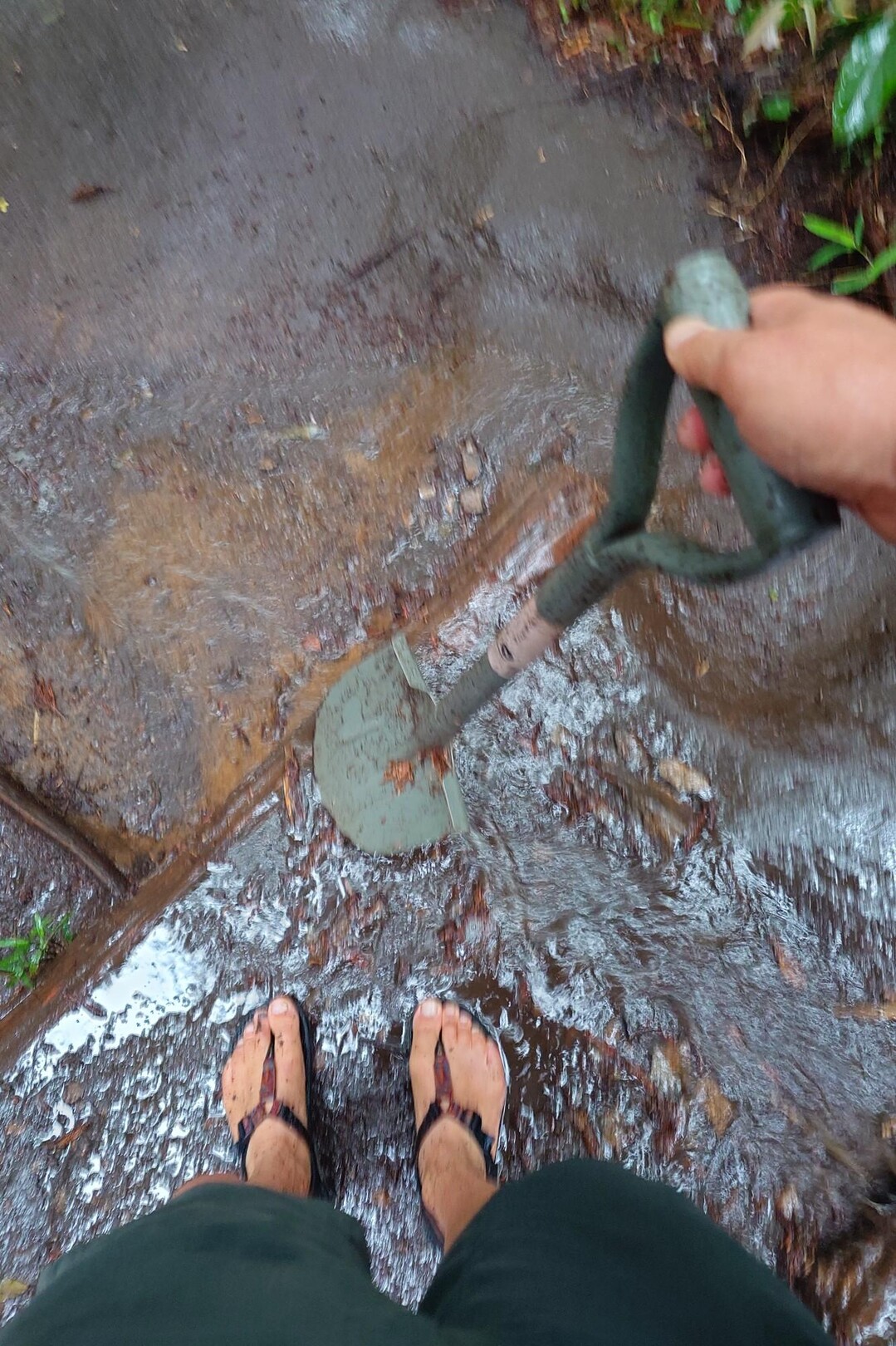 5月ラストはどしゃ降り登山道整備 / ta2さんの鳴神山・吾妻山の活動データ | YAMAP / ヤマップ