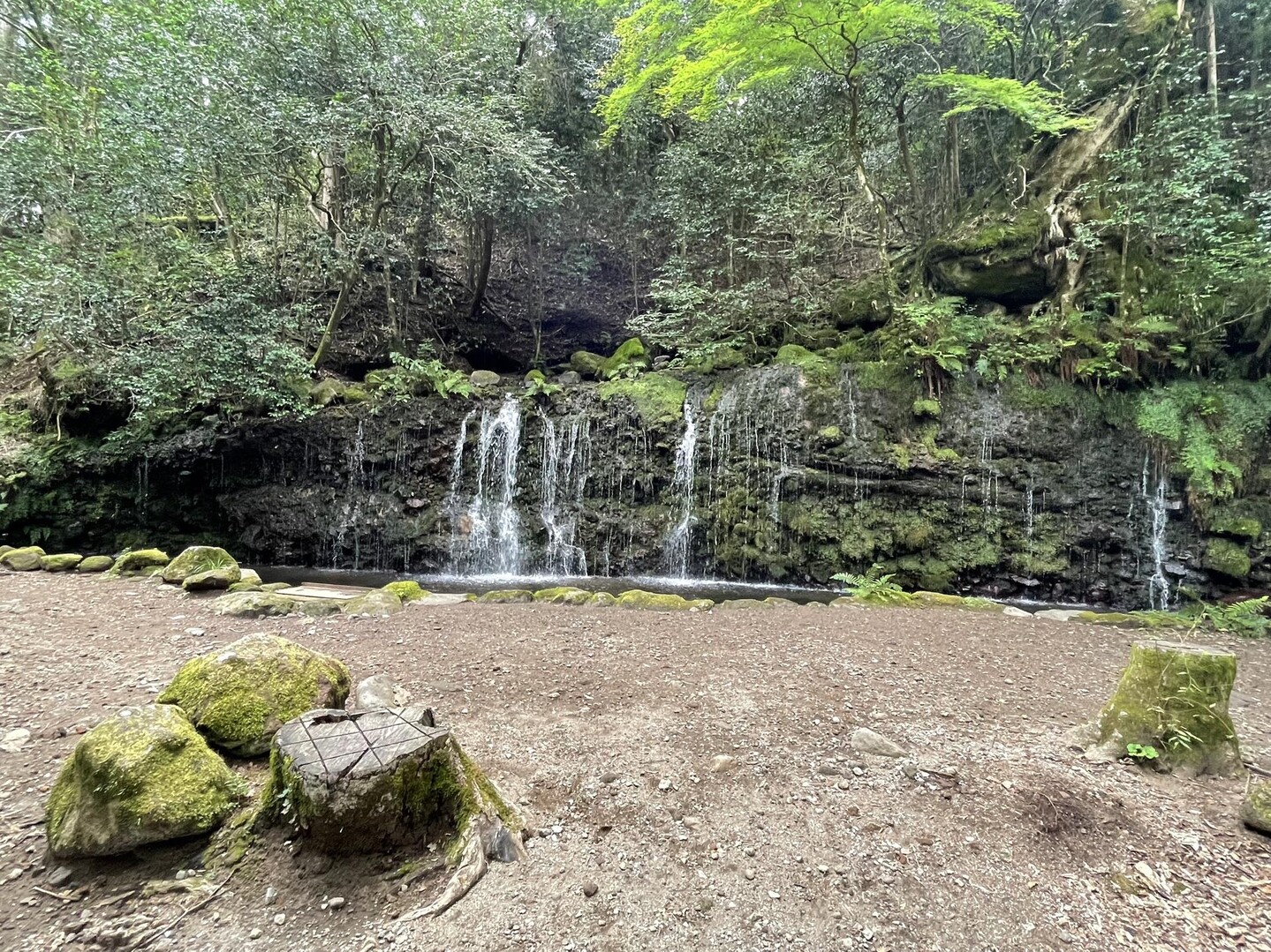 浅間山・城山(箱根町)・湯坂山 / s06007さんの箱根山・神山の活動データ | YAMAP / ヤマップ