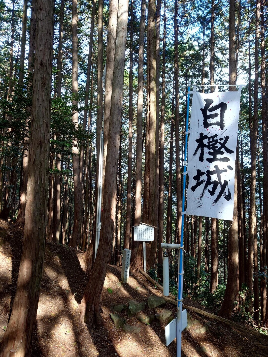 早朝‼️白樫新ルート🎉白樫城跡🏯小島山・ムネ山・奥谷山 / 雷の化身さんの鍋倉山・飯盛山の活動データ | YAMAP / ヤマップ