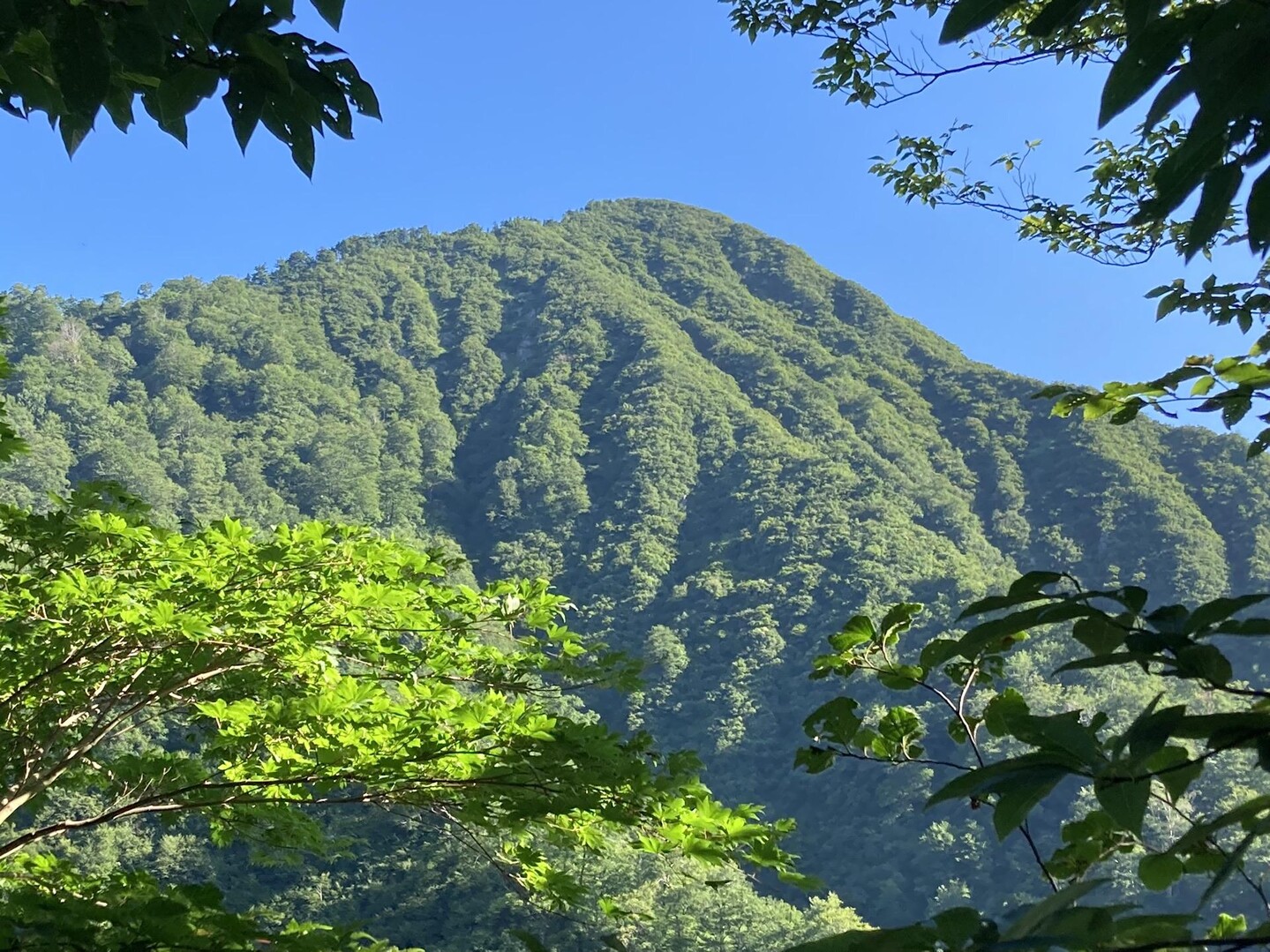 徳網山 / taka.run-skiさんの大朝日岳・朝日連峰・祝瓶山の活動データ | YAMAP / ヤマップ