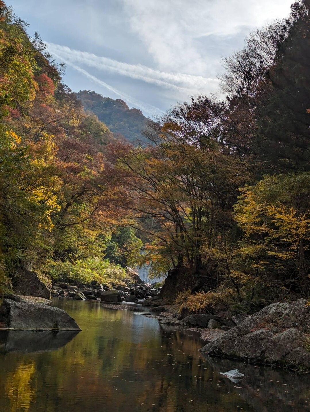 11月なのに暖かいです。また群馬県上野村... / マータンさんのモーメント | YAMAP / ヤマップ