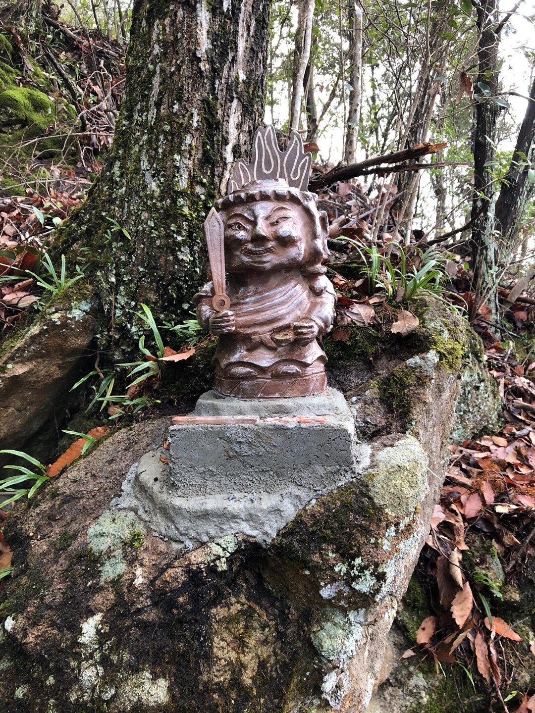雨上がりの新庄山・高尾山 / GOSAYさんの芥子山・シャシャ木山の活動日記 | YAMAP / ヤマップ