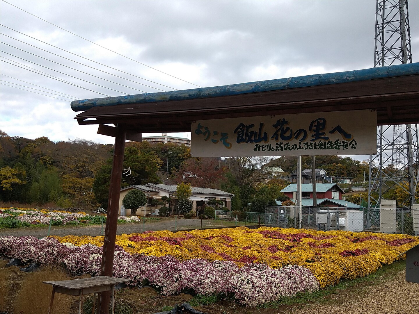 厚木 飯山白山-巡礼峠-高松山 / takeriさんの厚木市の活動データ | YAMAP / ヤマップ