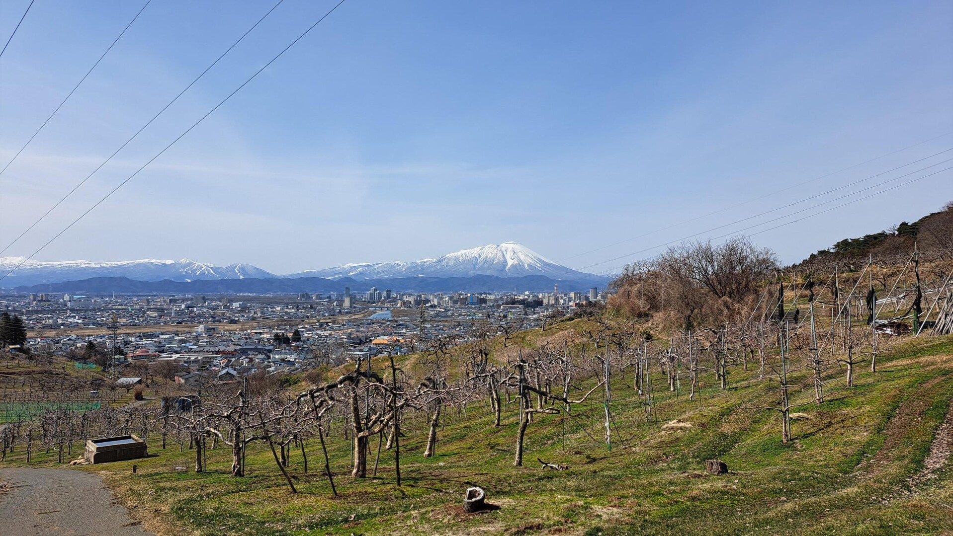 家から歩いてみた🥾～沢口山・天狗森・鑪山・殿ヶ武士山・蝶ヶ森山～ / neeleさんの岩山・鑪山の活動データ | YAMAP / ヤマップ