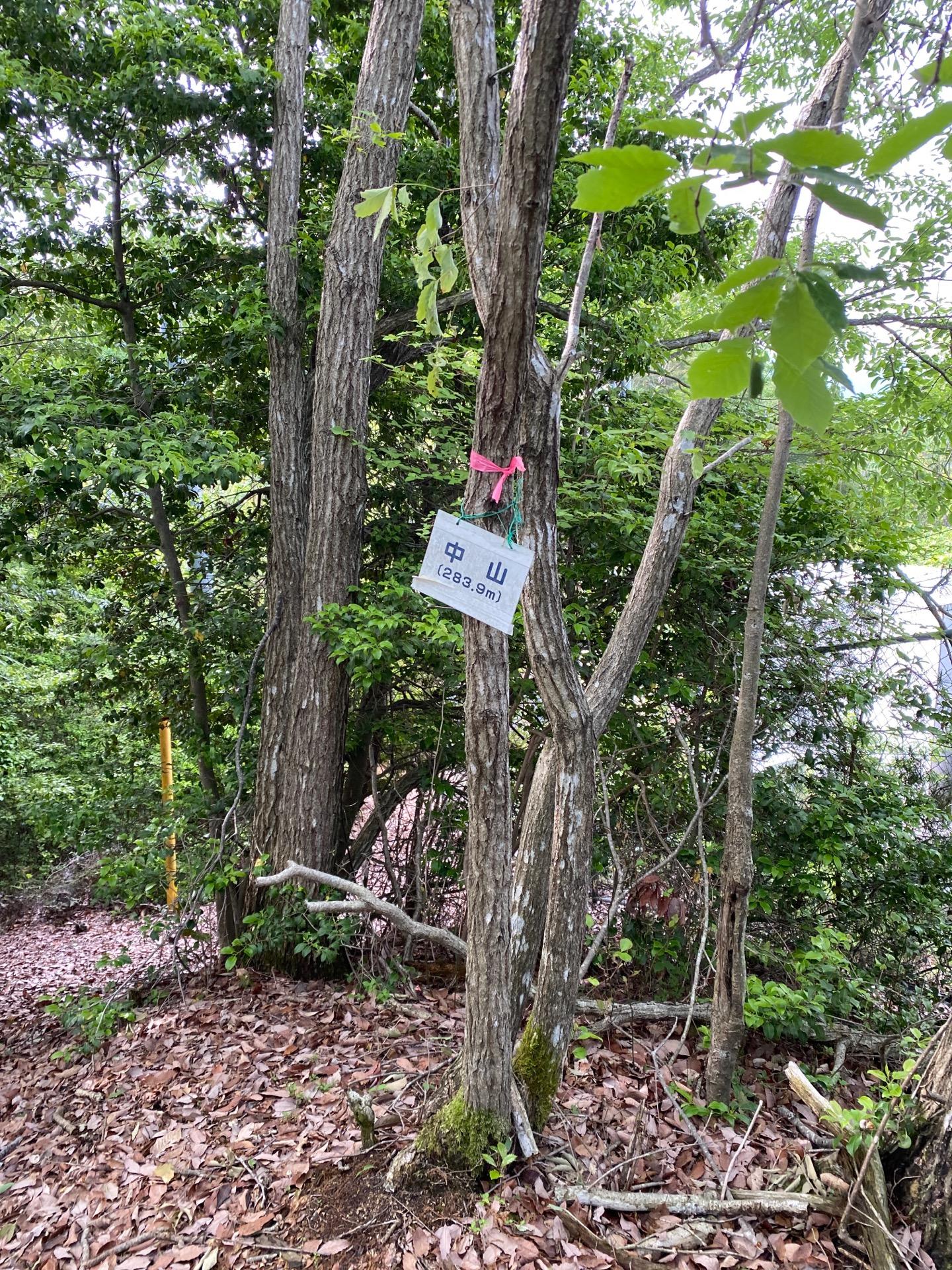中山・椎村山 / benchanさんの白木山・高松山・鬼ヶ城山の活動データ | YAMAP / ヤマップ