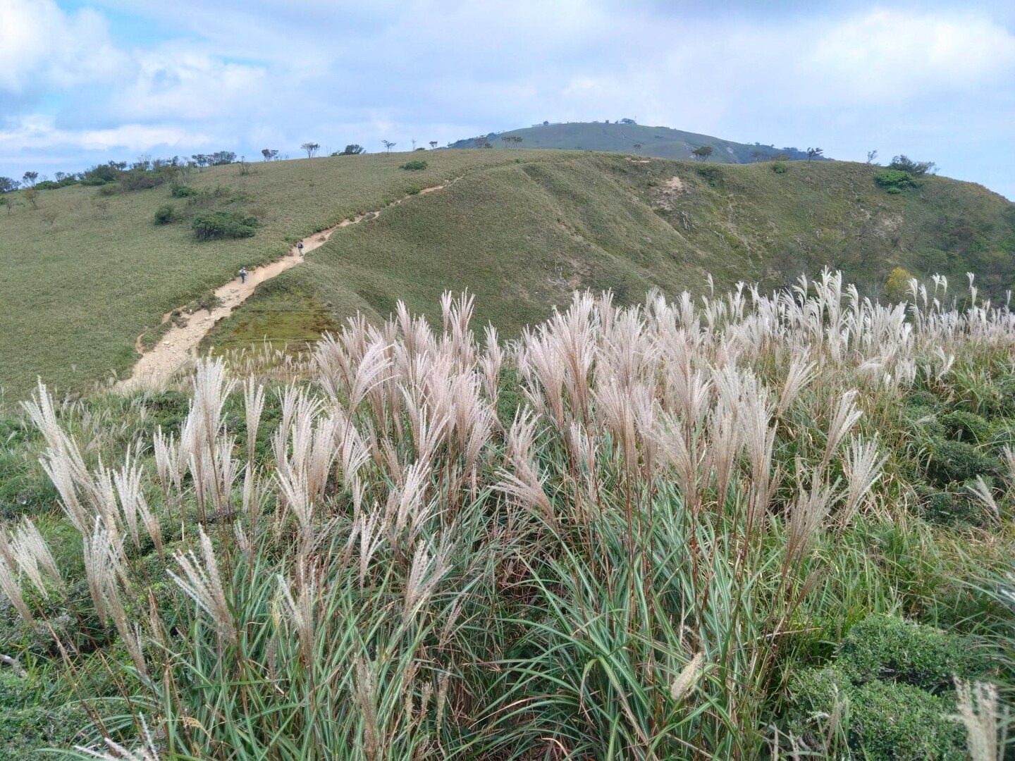 比良•蓬莱山 / omifuji4さんの比良山地・武奈ヶ岳・釈迦岳の活動データ | YAMAP / ヤマップ
