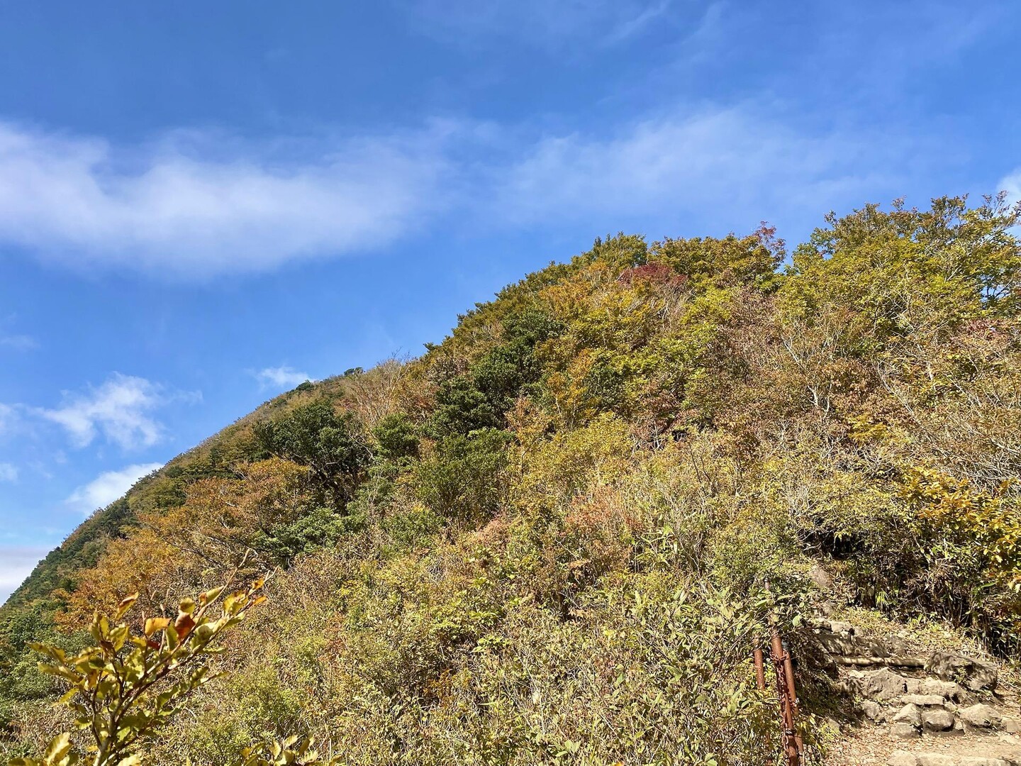 秋金時…。 / 3to4さんの金時山・明神ヶ岳の活動データ | YAMAP / ヤマップ