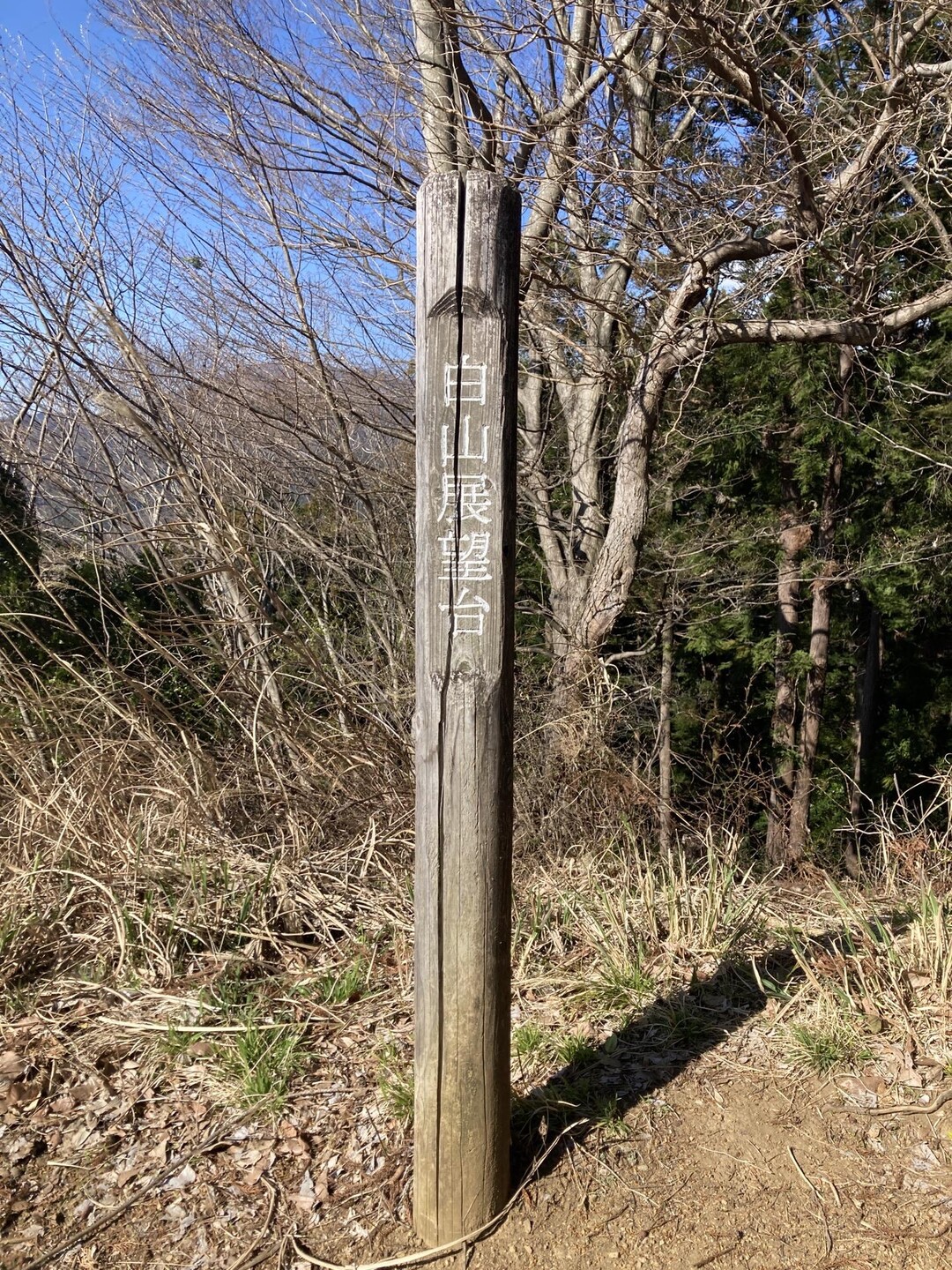 桜山・白山 / Mameさんの大山の活動データ | YAMAP / ヤマップ