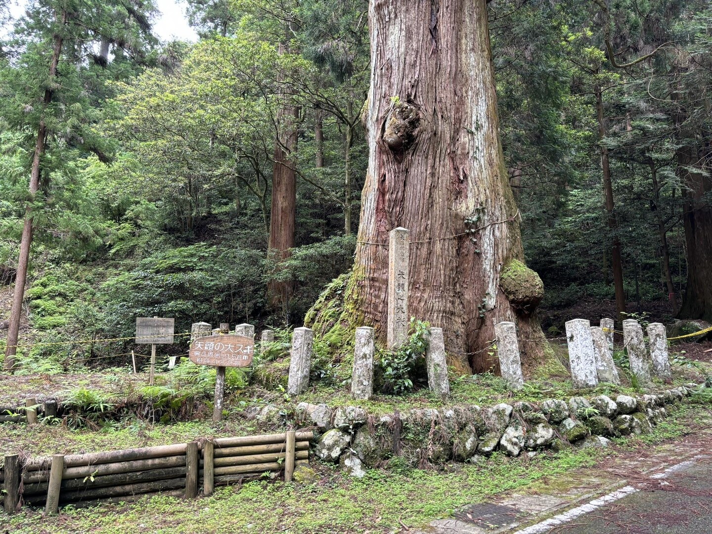 矢頭山 / @Miju@さんの矢頭山の活動データ | YAMAP / ヤマップ
