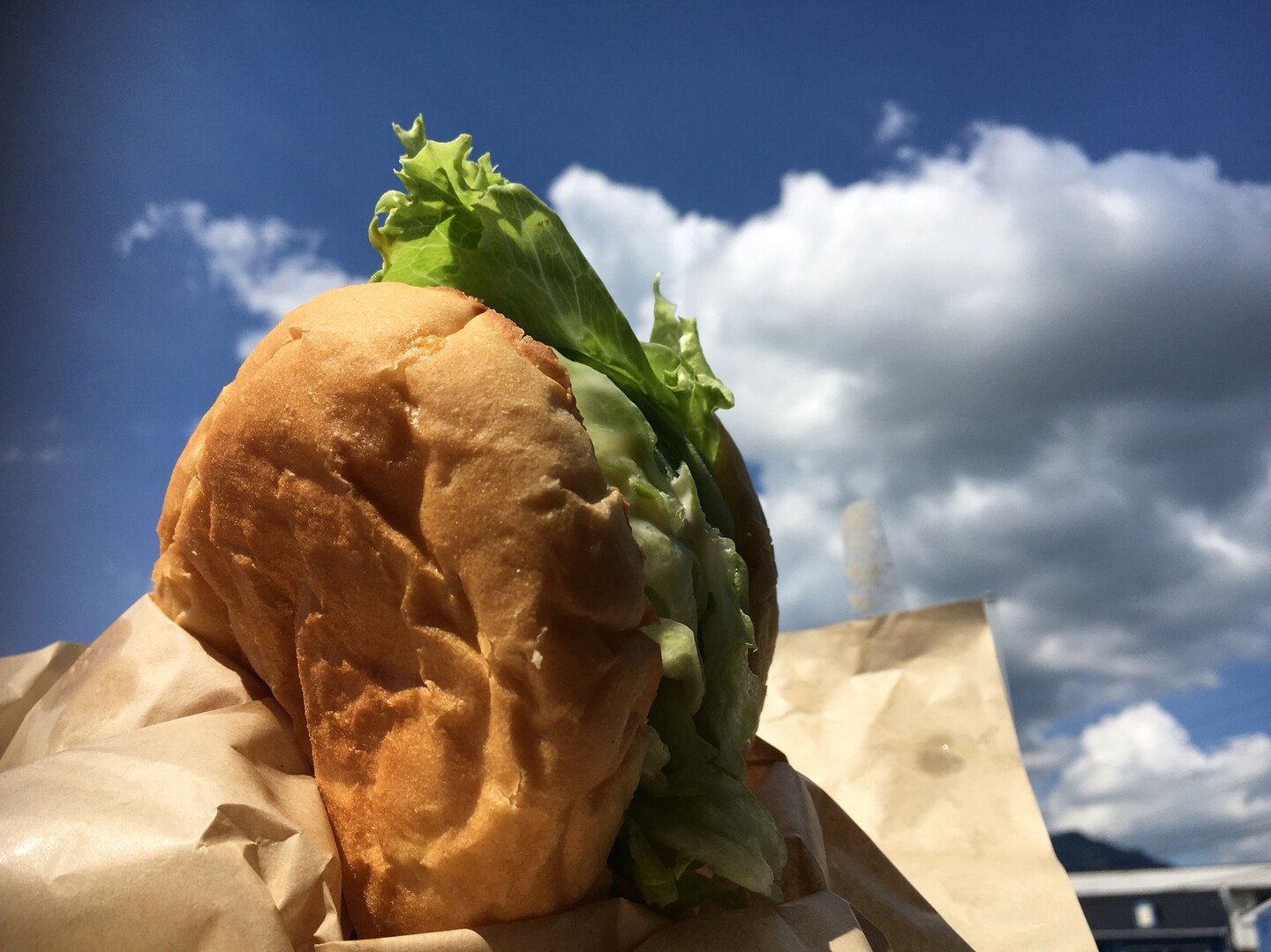 だごしゃんルート💓💓水浴び / さとちゃん(iotan)さんの宝満山・三郡山・若杉山の活動データ | YAMAP / ヤマップ