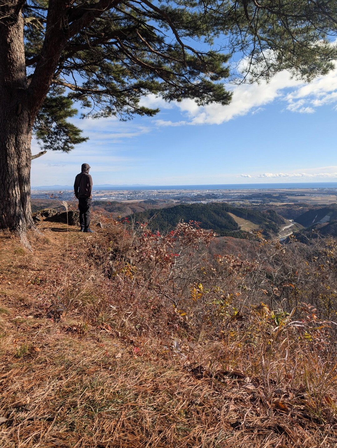 外山・五社山・五社山北峰・三方塚・西大森山 / Tatuさんの五社山・外山の活動データ | YAMAP / ヤマップ