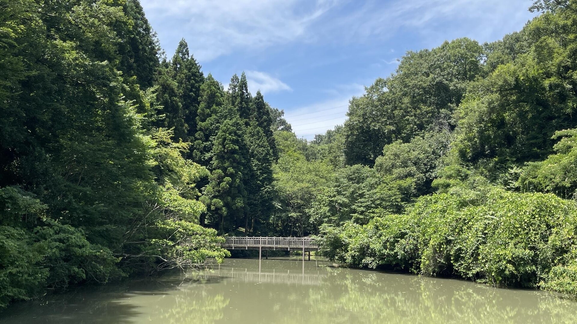 朝ランしてて🏃‍♂️ そろそろ、 1... / tkwさんのモーメント | YAMAP / ヤマップ