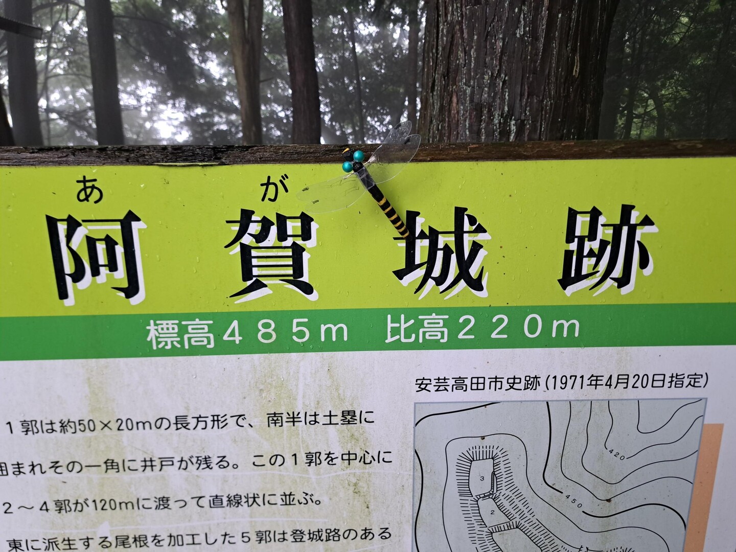 小雨の中ピークハント 阿賀城山 / DSHさんの千代田堂床山の活動データ | YAMAP / ヤマップ