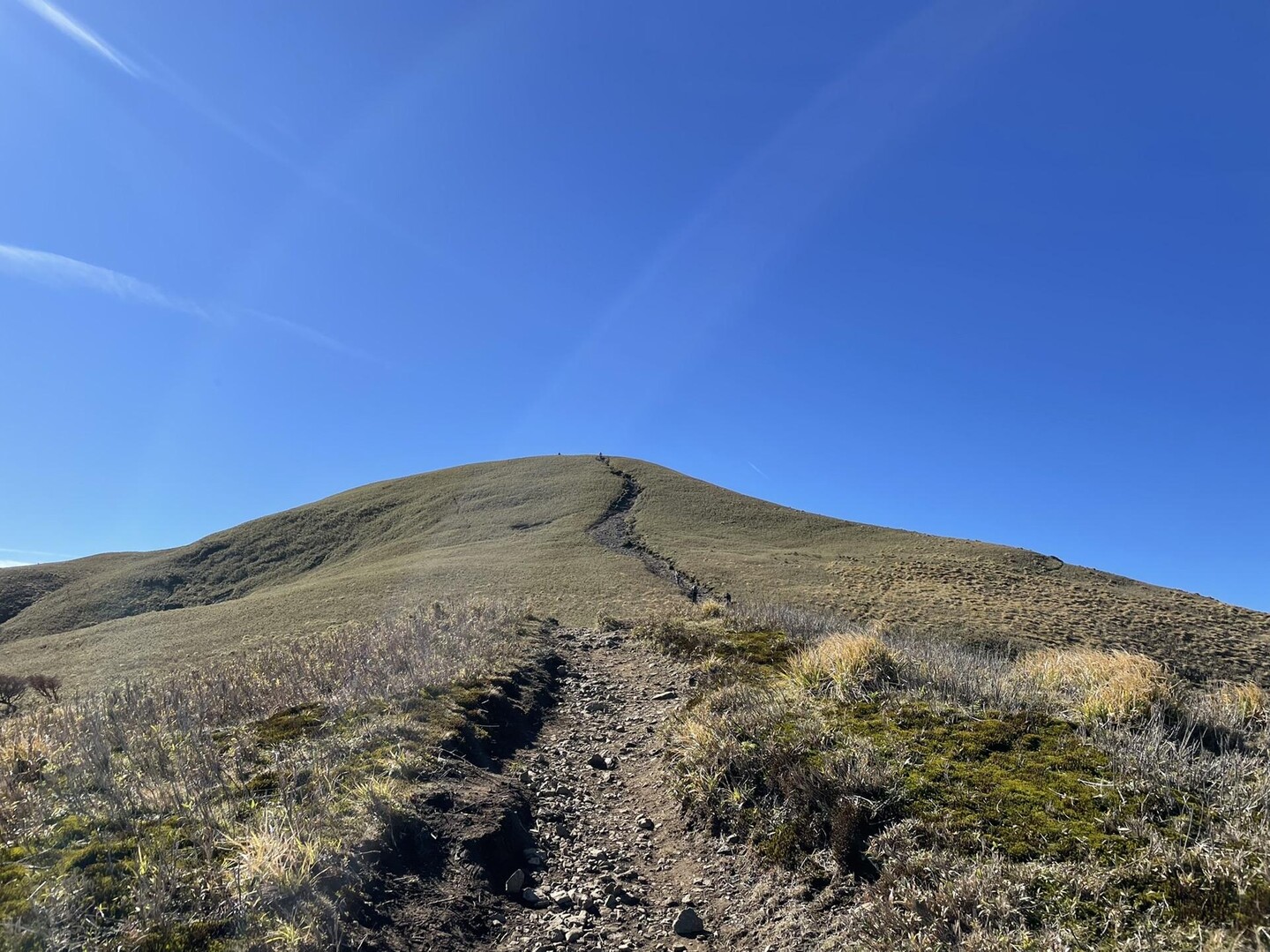竜ヶ岳 / りささんの竜ヶ岳の活動データ | YAMAP / ヤマップ