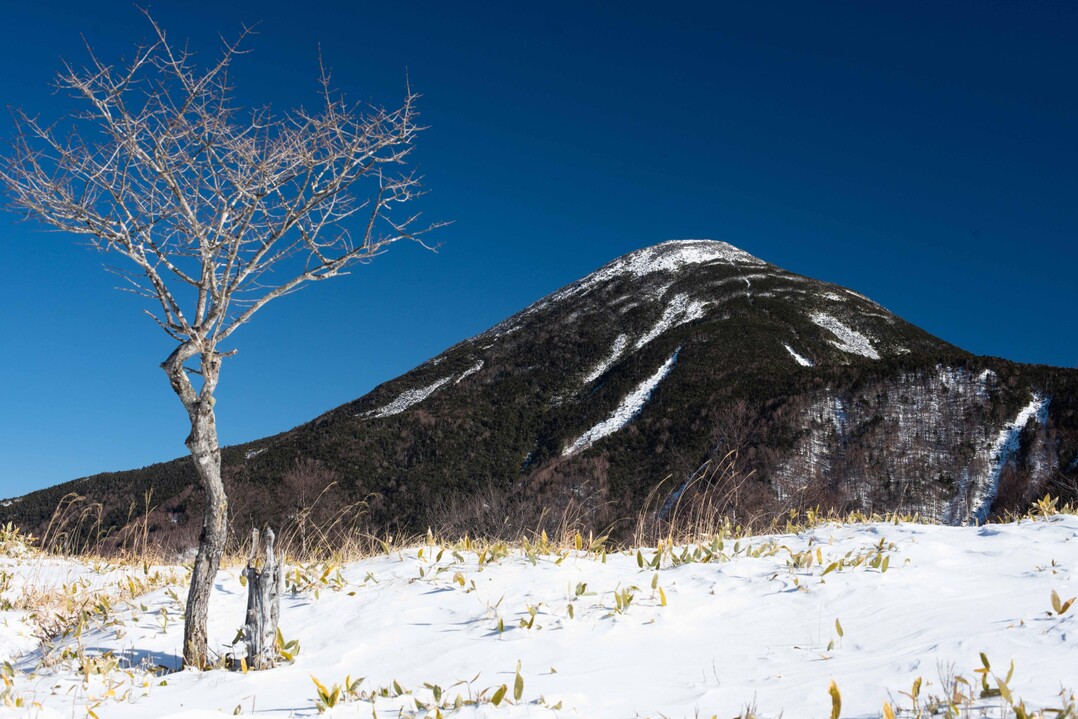 八子ヶ峰東峰 往復コースの地図・登山ルート・登山口情報 | YAMAP / ヤマップ