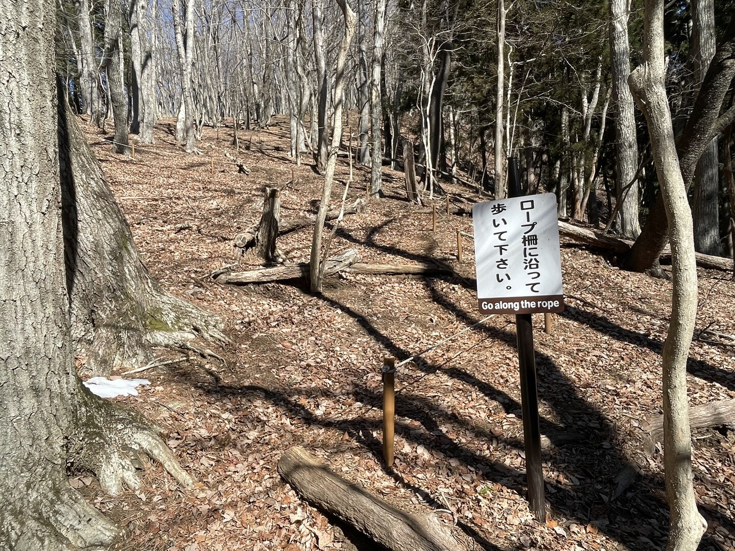 Motoさんの投稿したフィールドメモ | YAMAP / ヤマップ