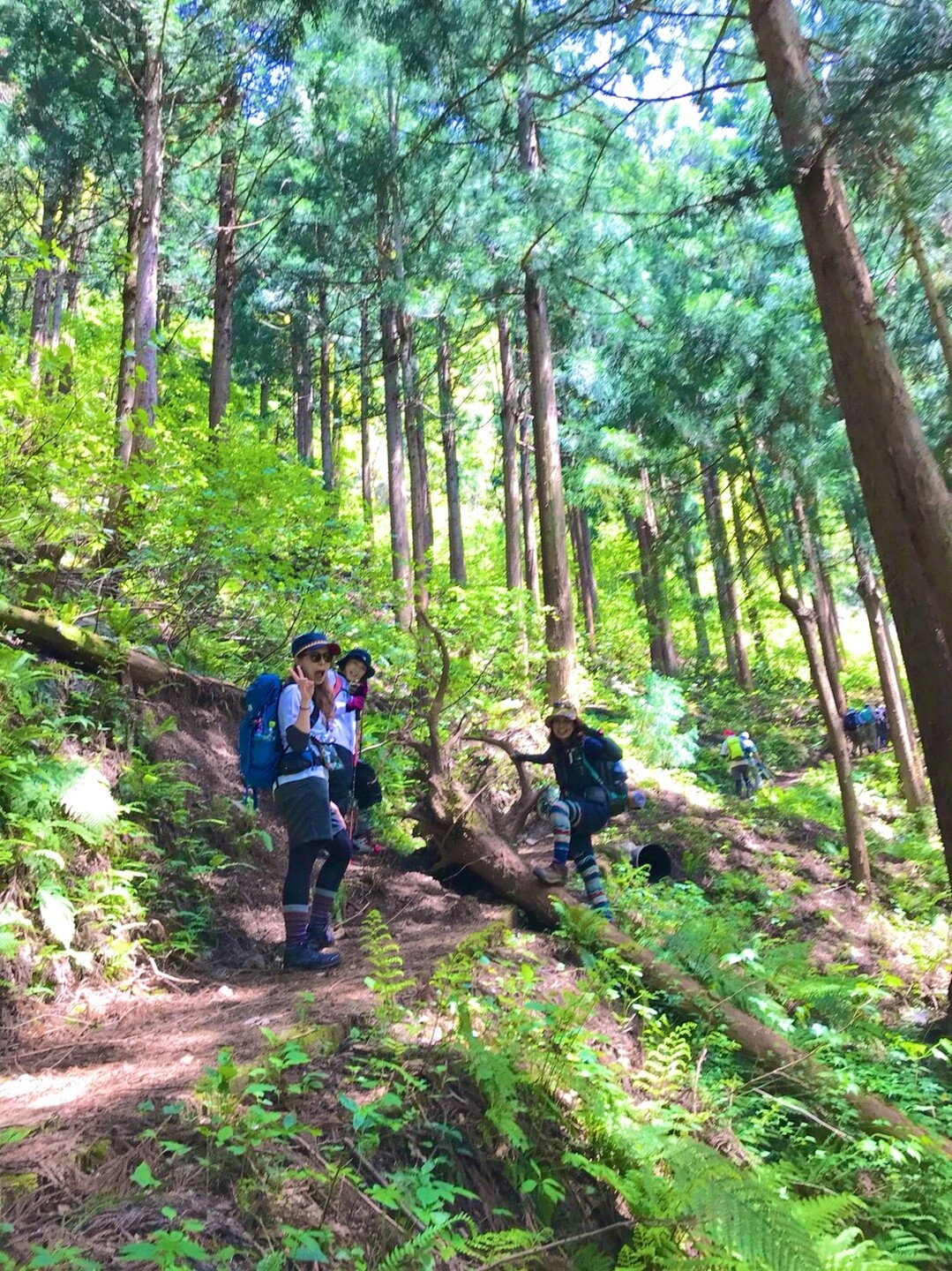 JAMAPのページ | YAMAP / ヤマップ