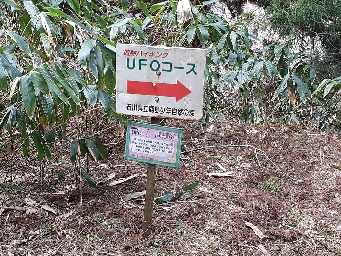 WBCが…でも碁石ヶ峰 / いつかは日帰り剣さんの石動山・七尾城山・碁石ヶ峰の活動データ | YAMAP / ヤマップ